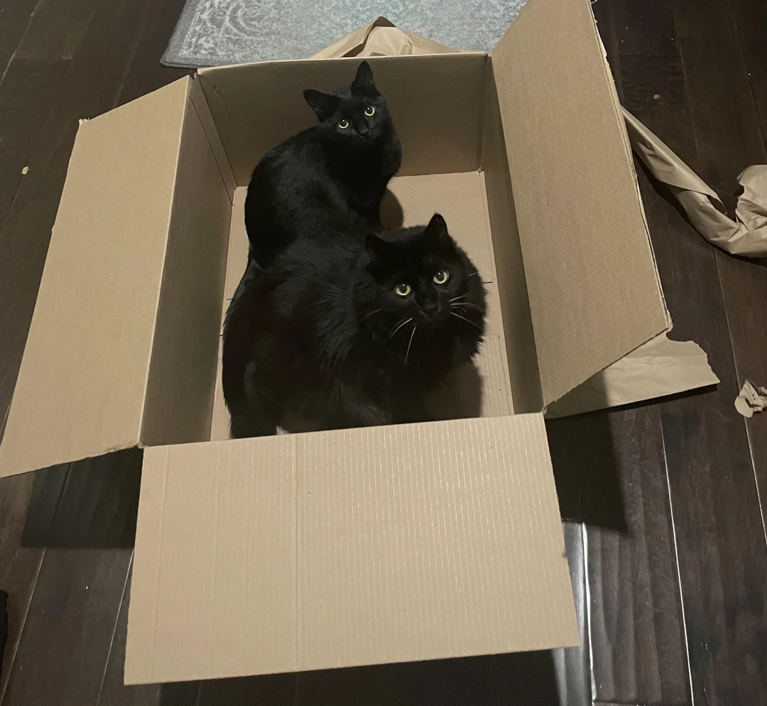 Amazon delivery | Scrolller