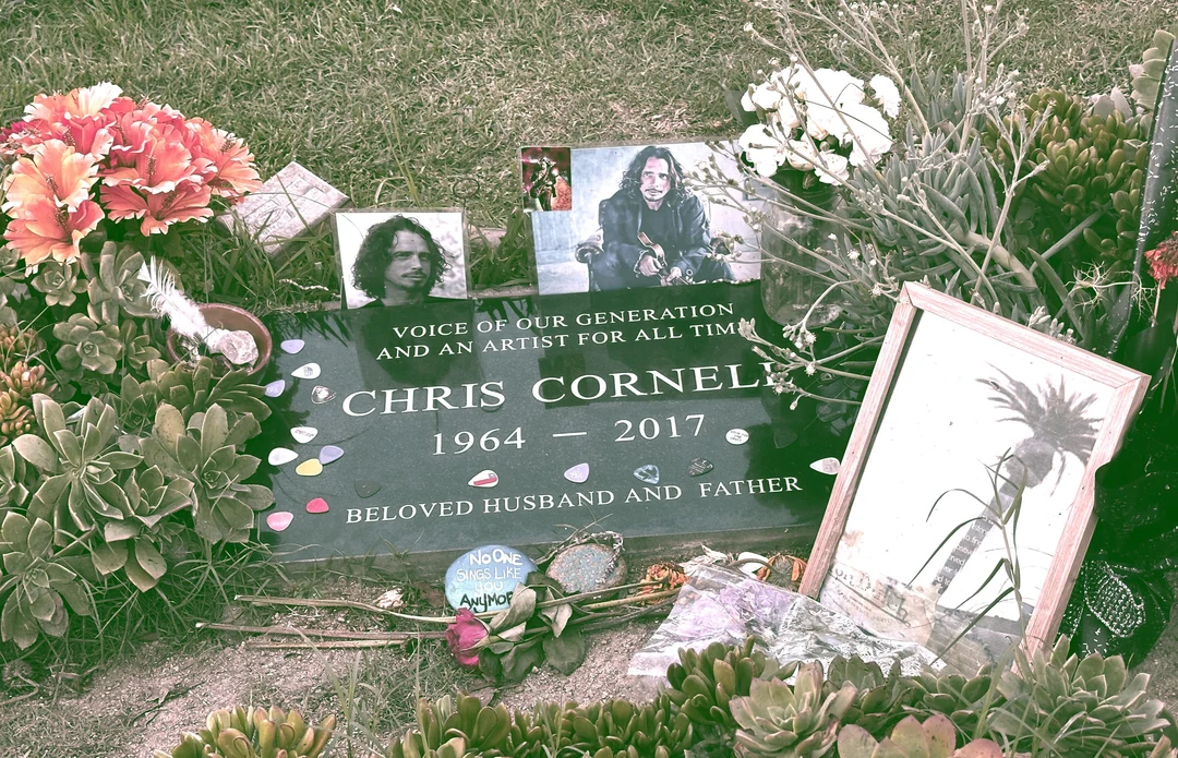 Legends only. RIP Chris Cornell ⭐️ | Scrolller
