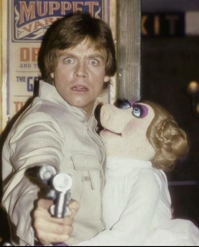 “Luke Skywalker” and “Miss Piggy” on The Muppet Show (1980) | Scrolller