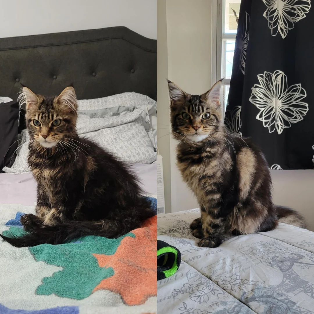 40 day difference | Scrolller