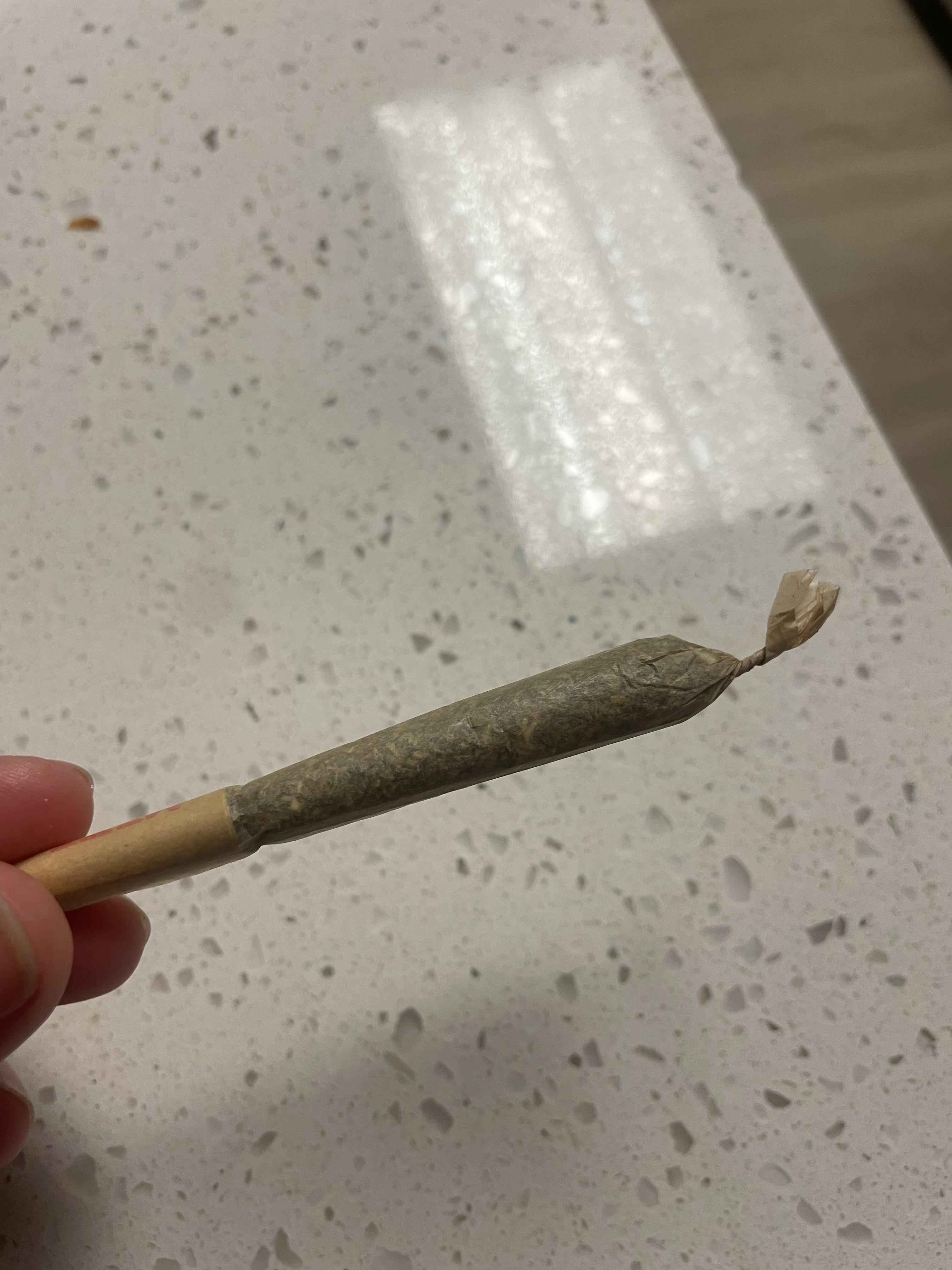 Just curious if there’s a solution | Scrolller