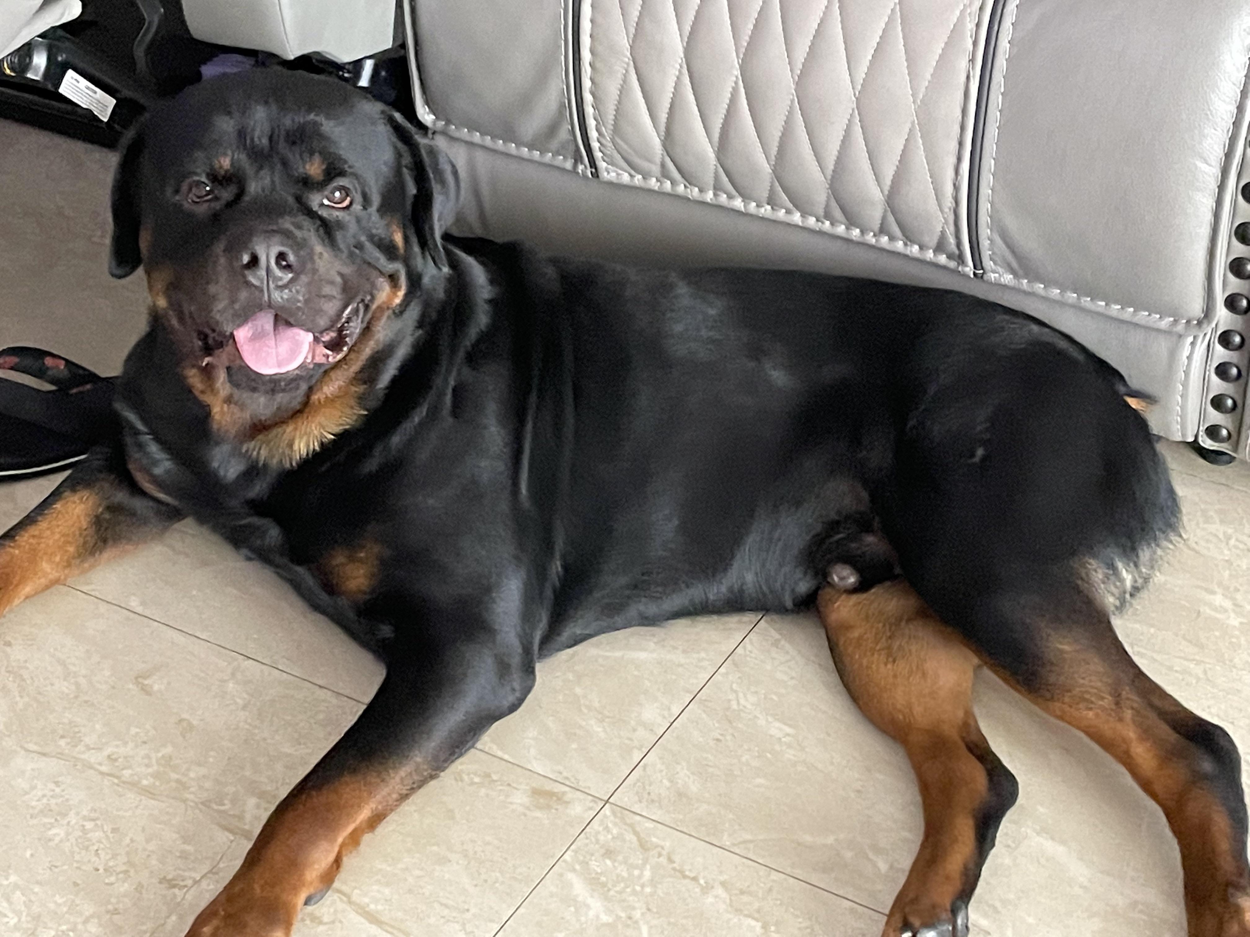 Cute boy | Scrolller