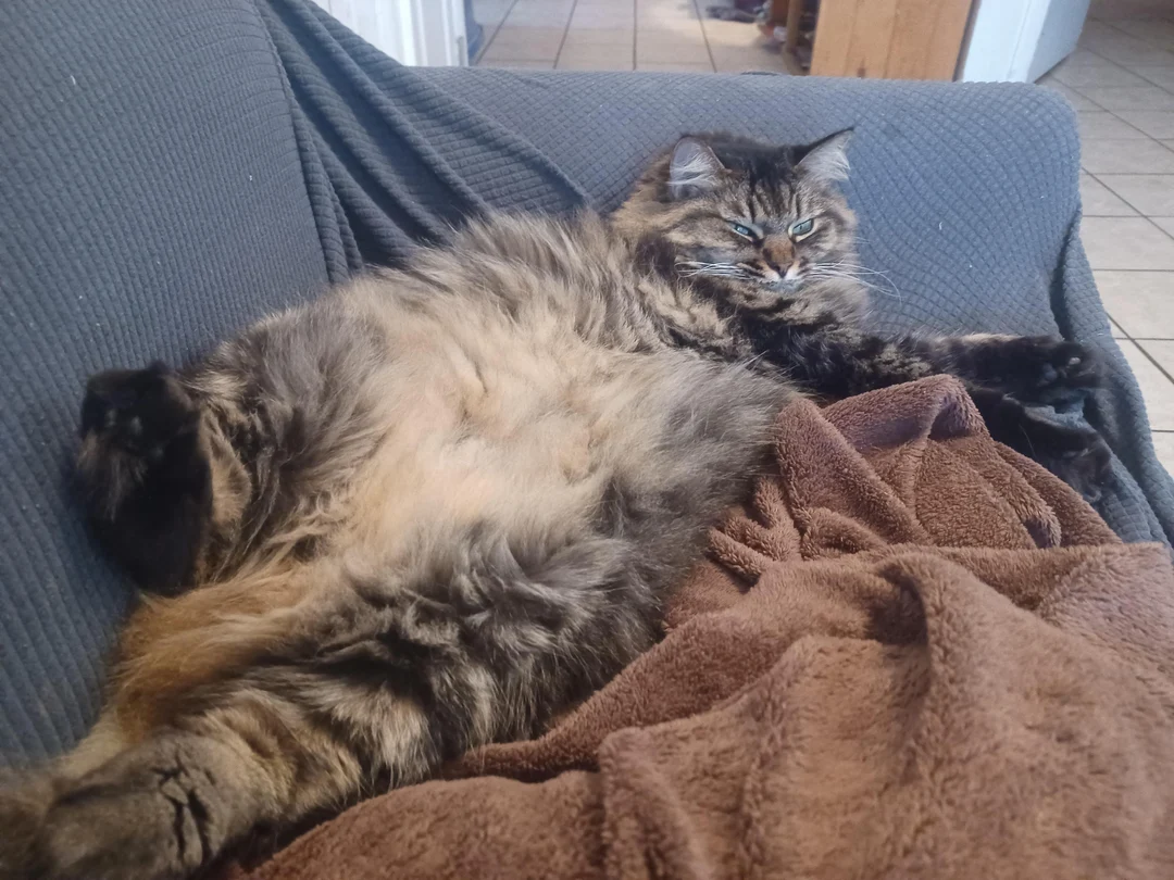 So relaxed | Scrolller