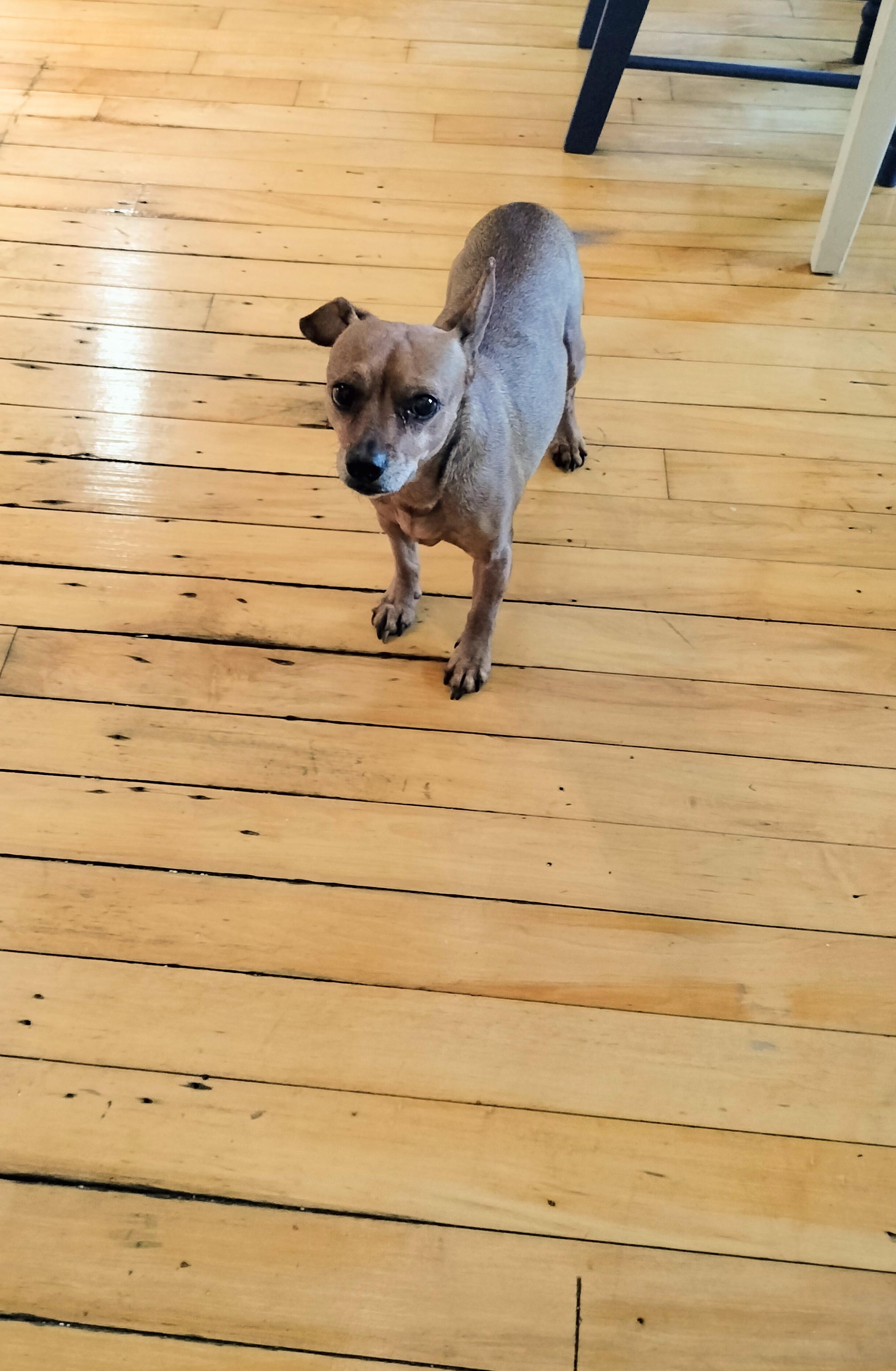 Little pickle | Scrolller