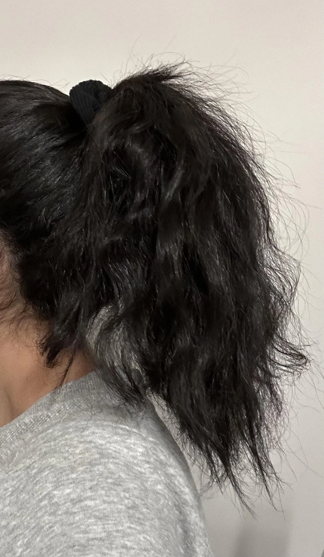 Hair cut that looks good in pony tail | Scrolller