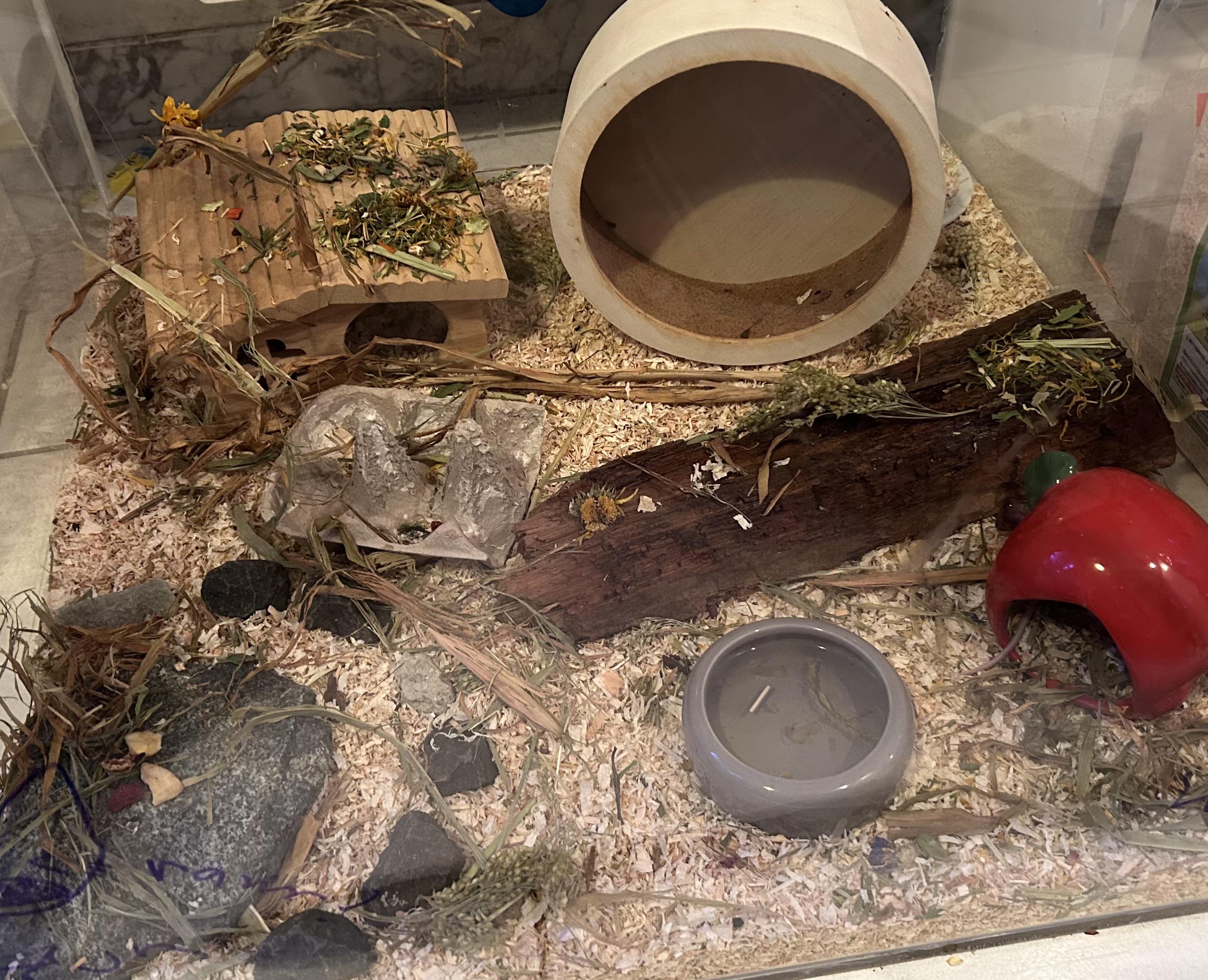 sad sad enclosure | Scrolller