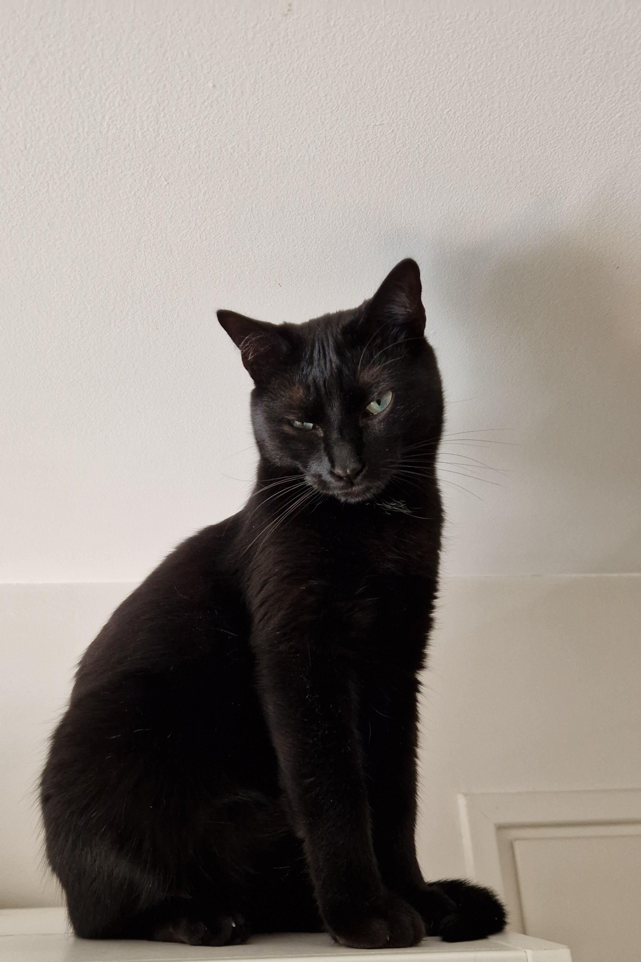 Black void on white background | Scrolller