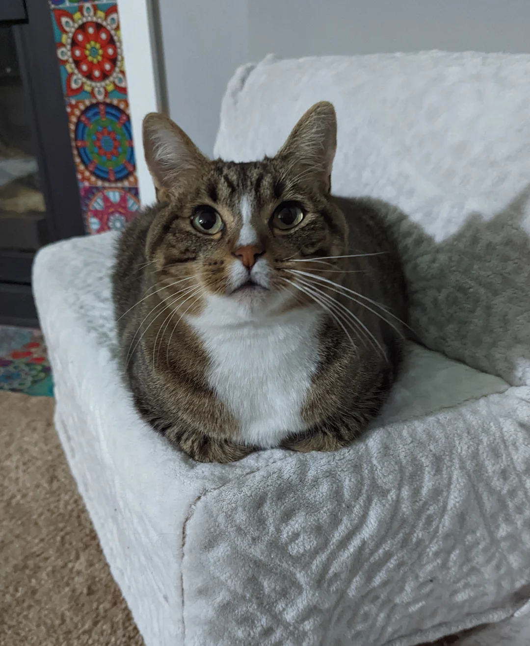 Olaf is an anagram for loaf. Perfect form | Scrolller