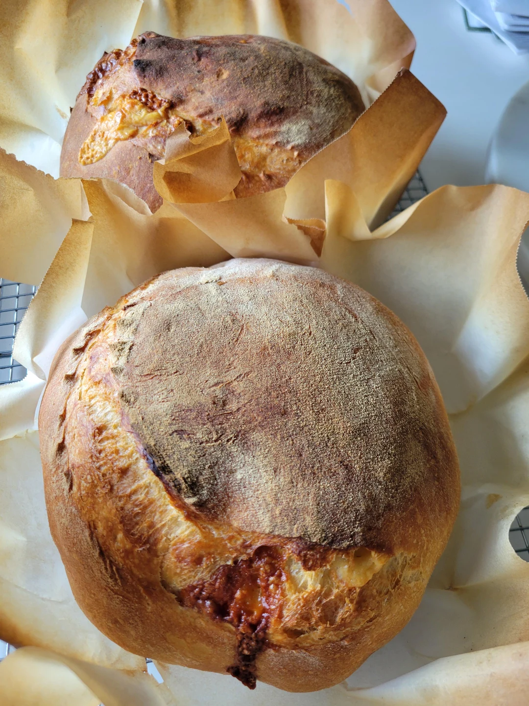 Cheddar cheese bread | Scrolller