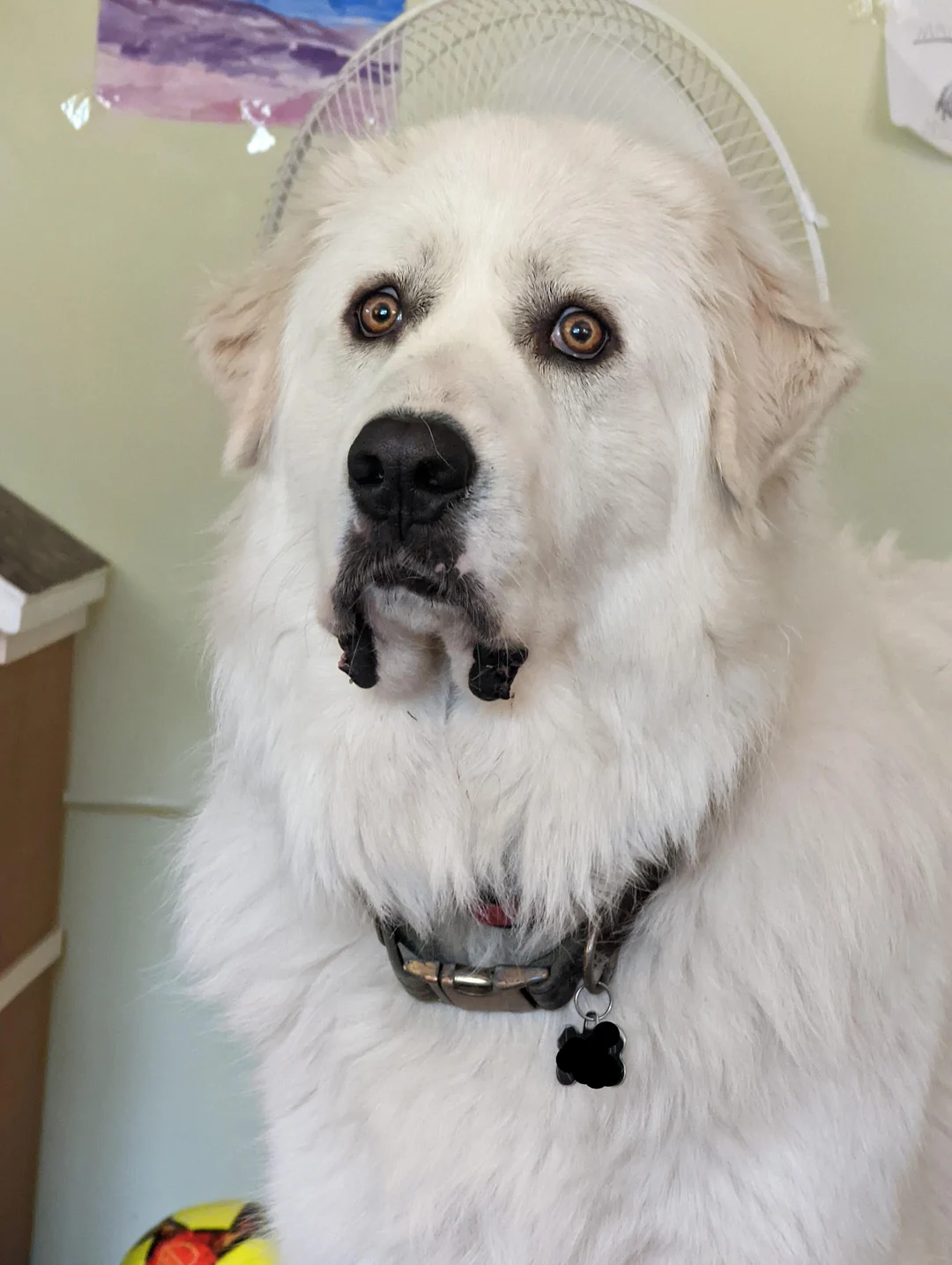 He looks like he's having 'Nam flashbacks | Scrolller