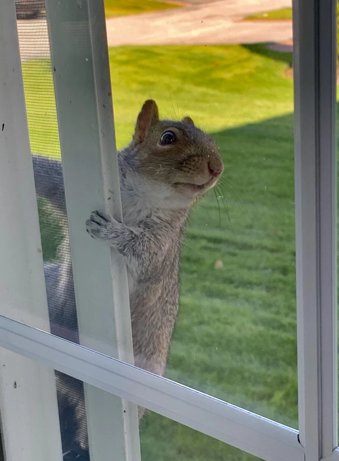 Arnold’s First Jump | Scrolller