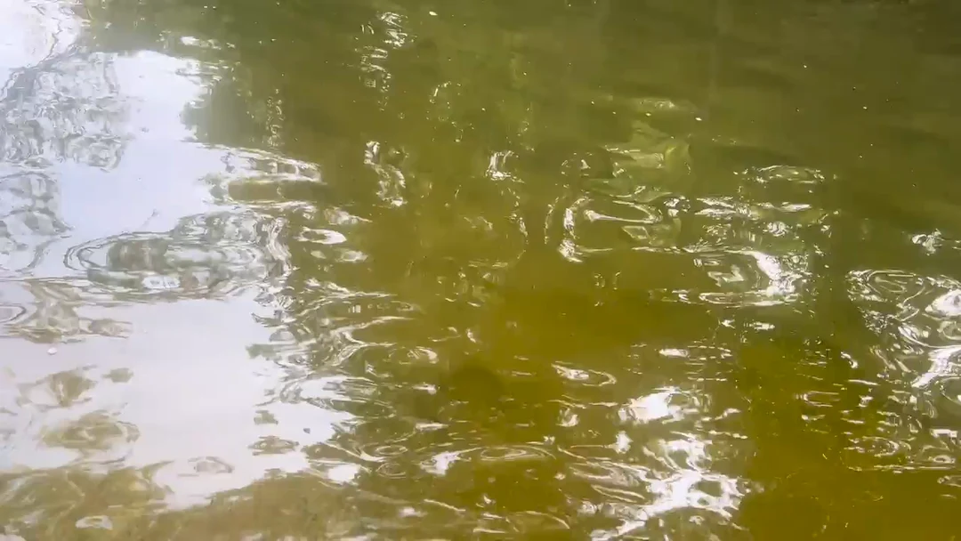 Watch your step!!! | Scrolller