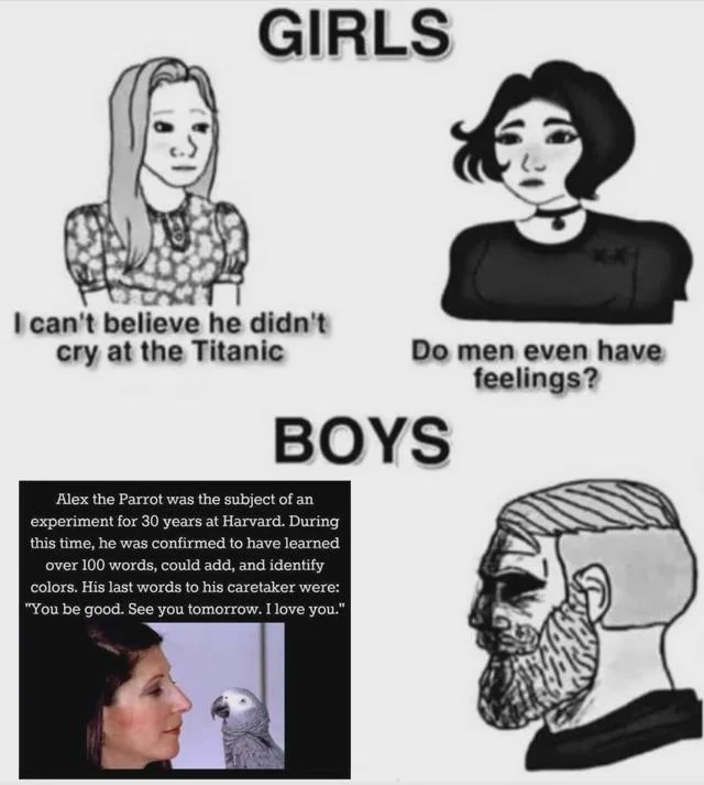 feelings | Scrolller