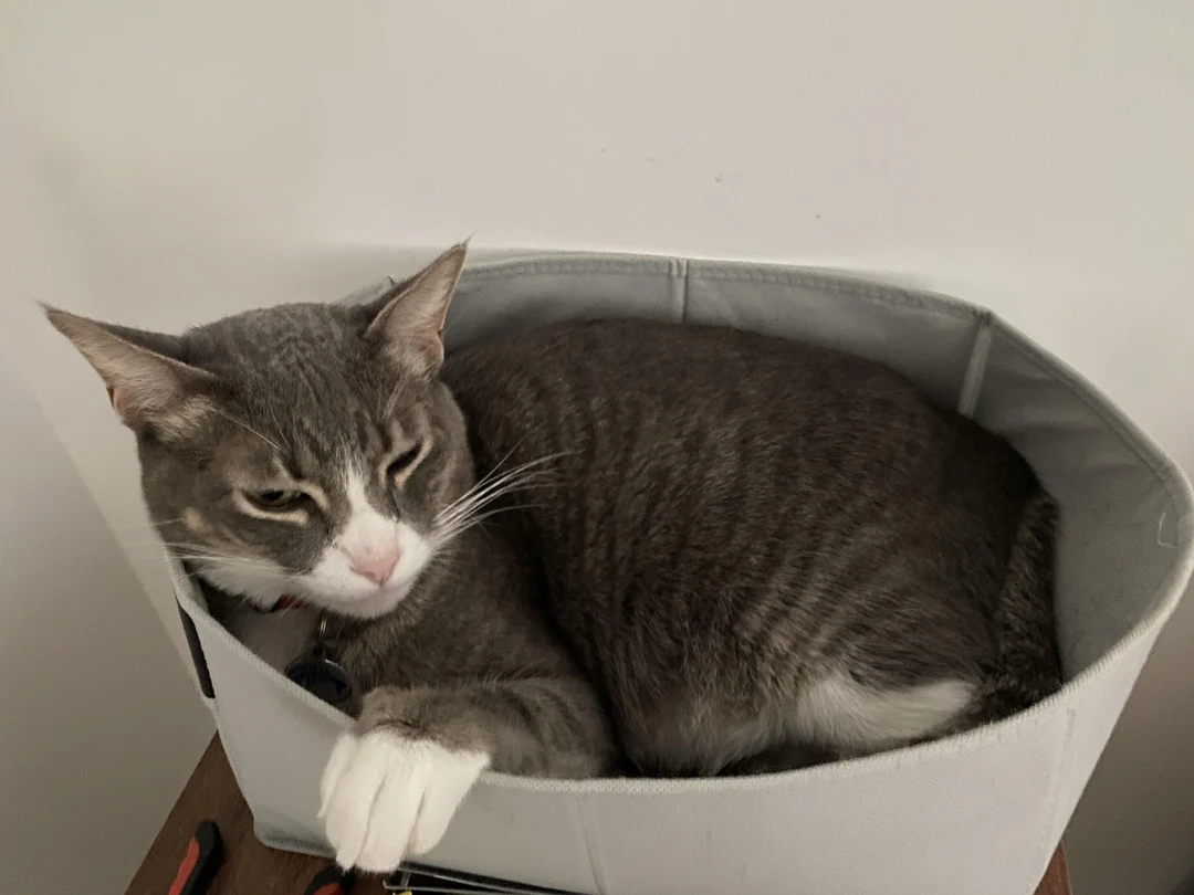 trapped! | Scrolller