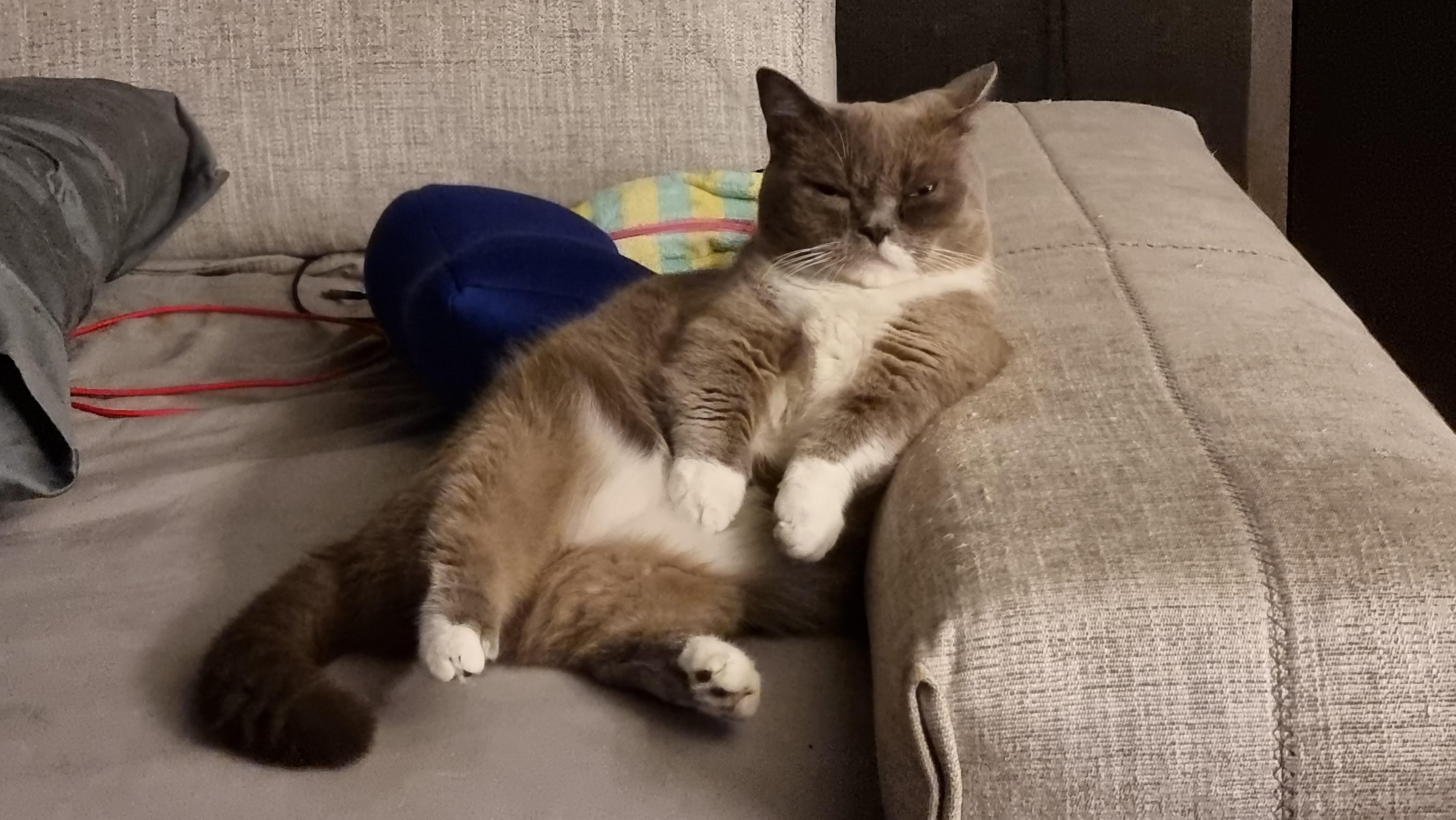 Plotting world domination | Scrolller