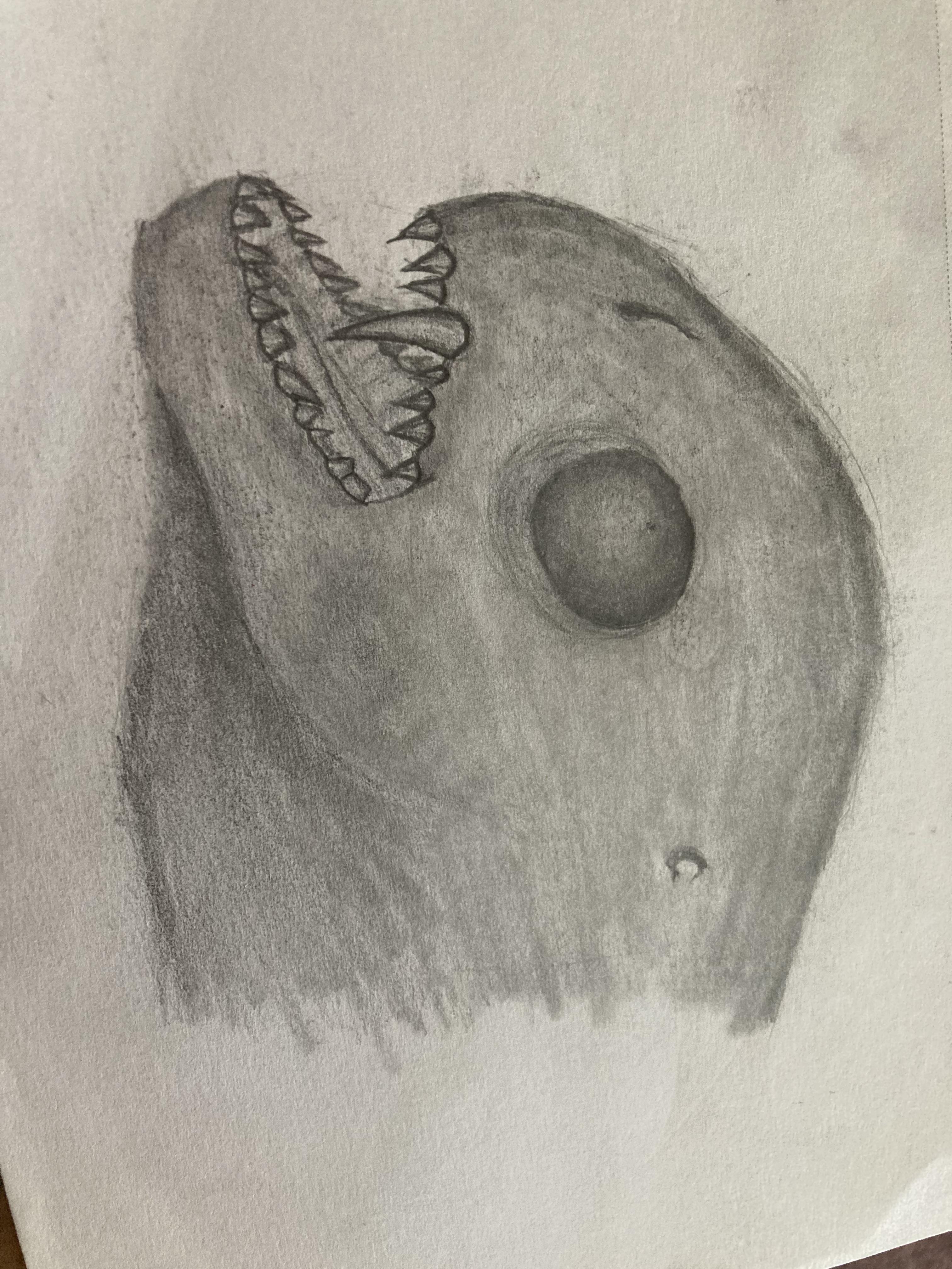 Fang ( by me) | Scrolller