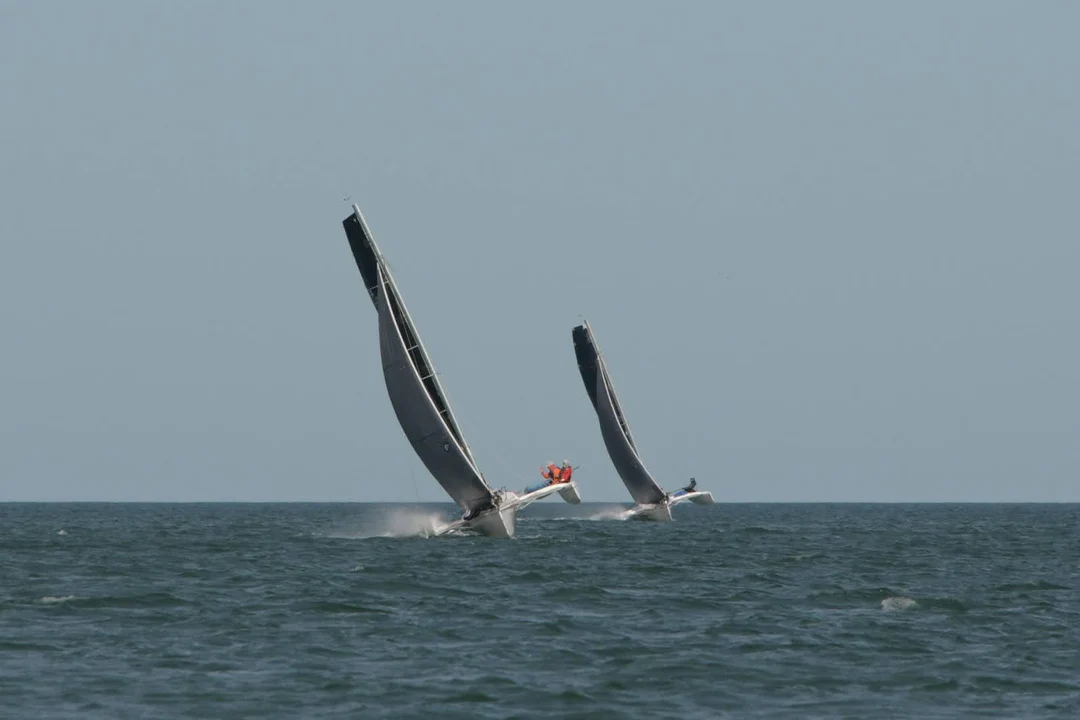 Powered up Screecher Reaching! | Scrolller