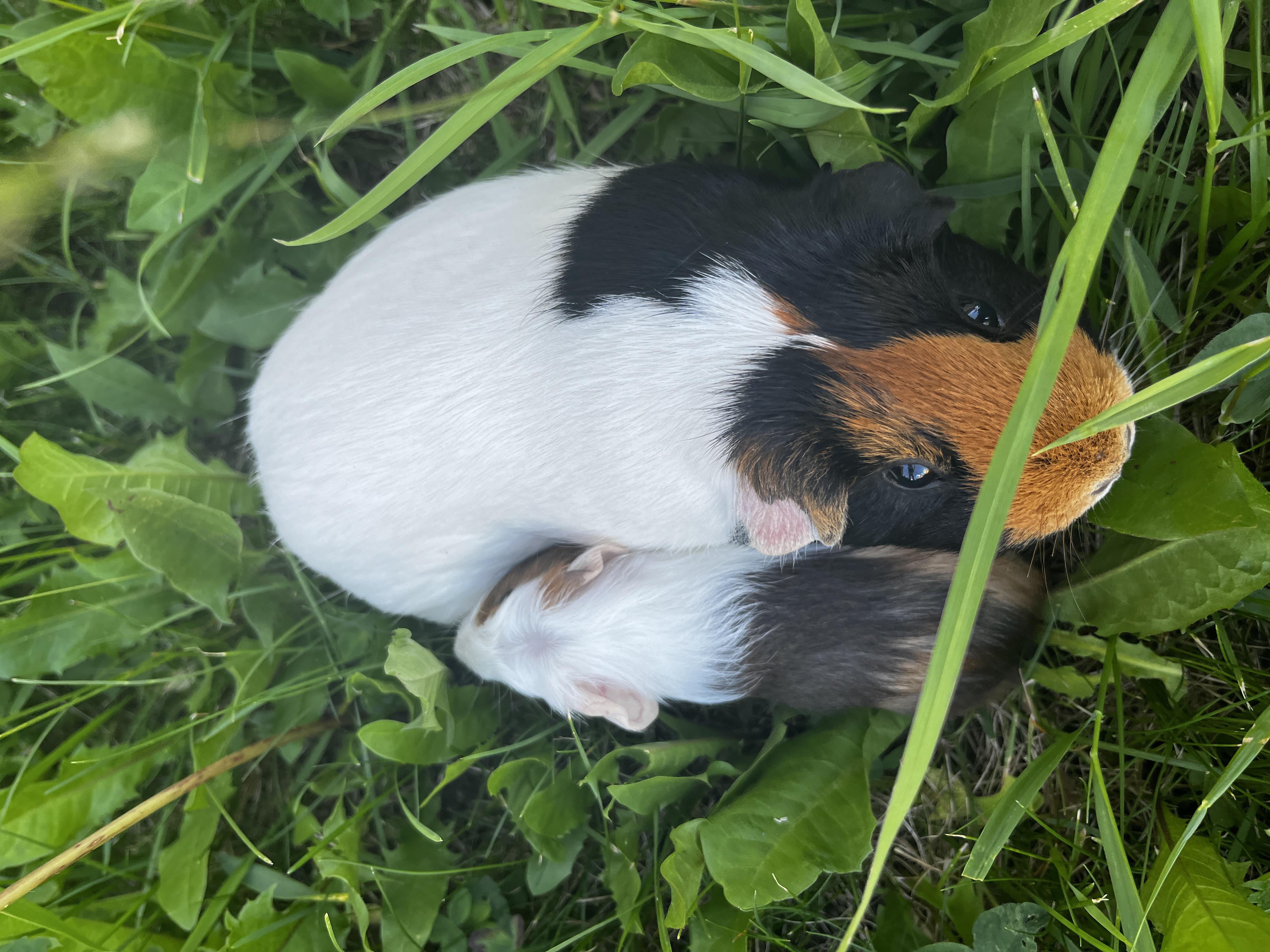 Some supervised outdoor bonding 🥹💗 | Scrolller