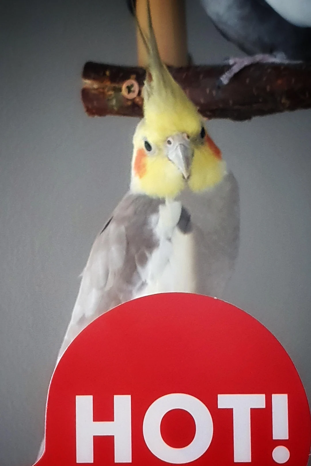 Caution! | Scrolller