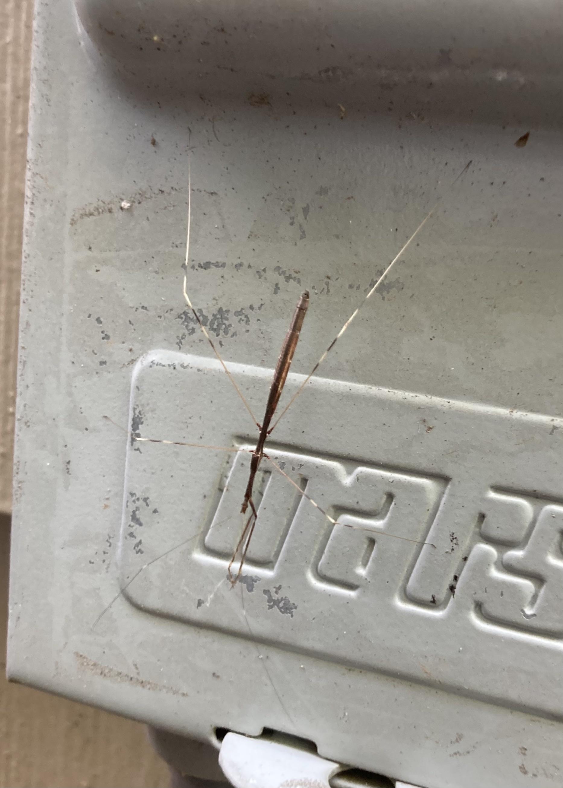 Who is this is upstate NY? | Scrolller