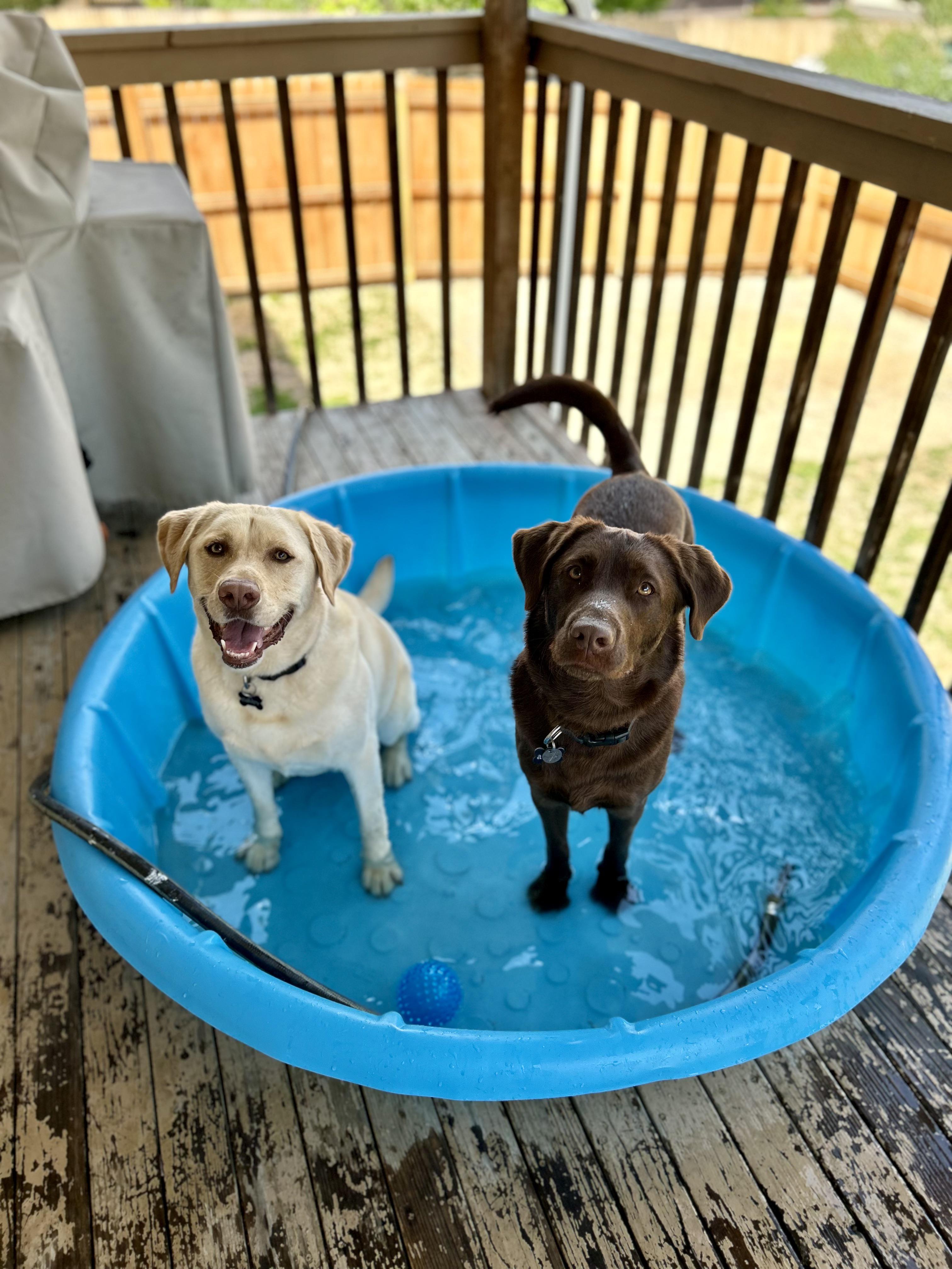 Pools out! | Scrolller