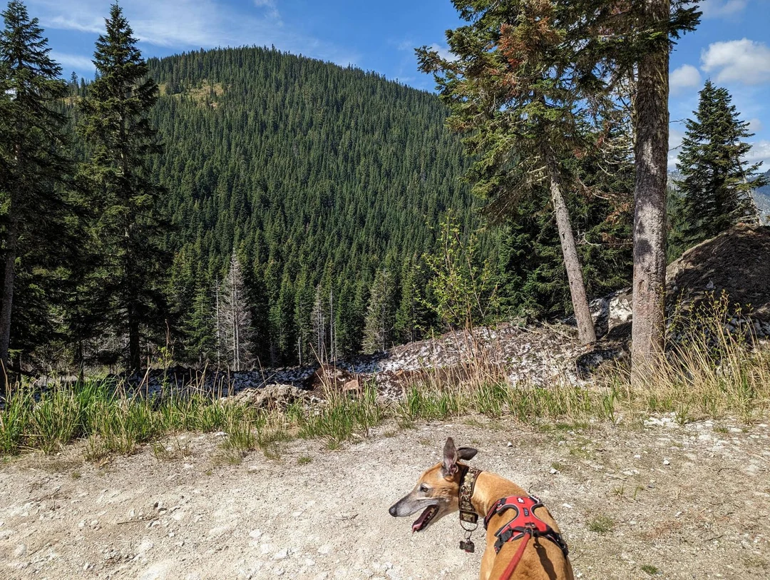 Tally Ho at the top of Steven's Pass, WA. | Scrolller