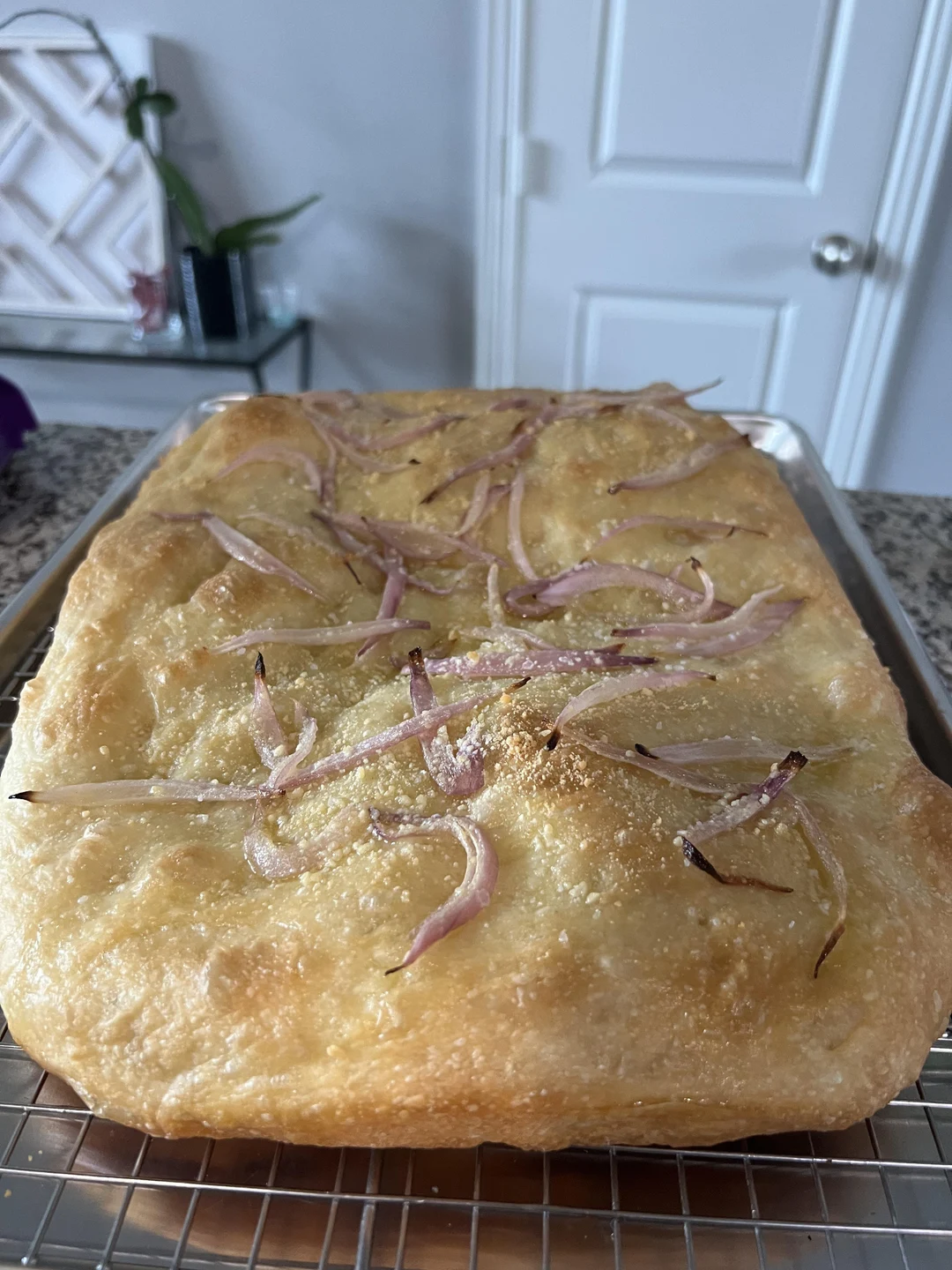 Onion Focaccia | Scrolller