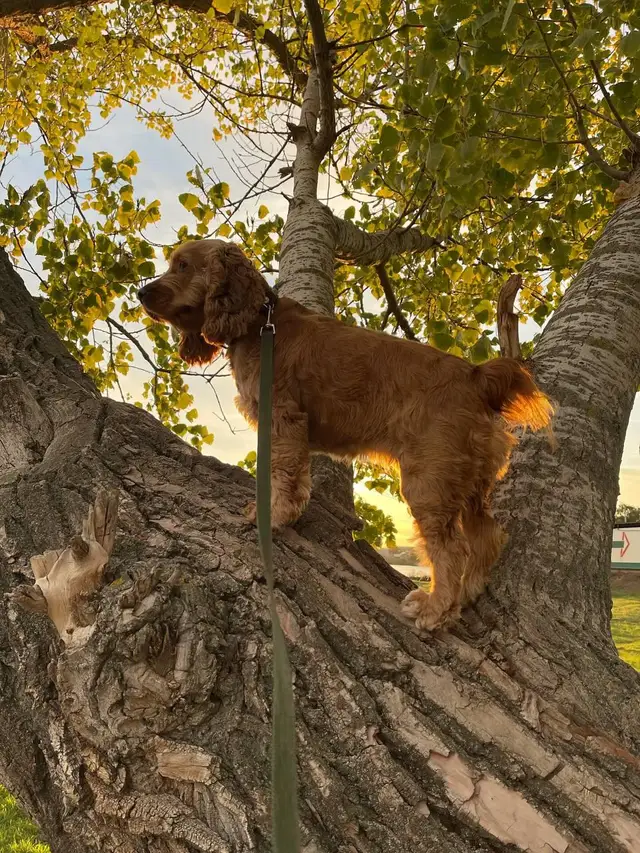 My sweety monkey | Scrolller