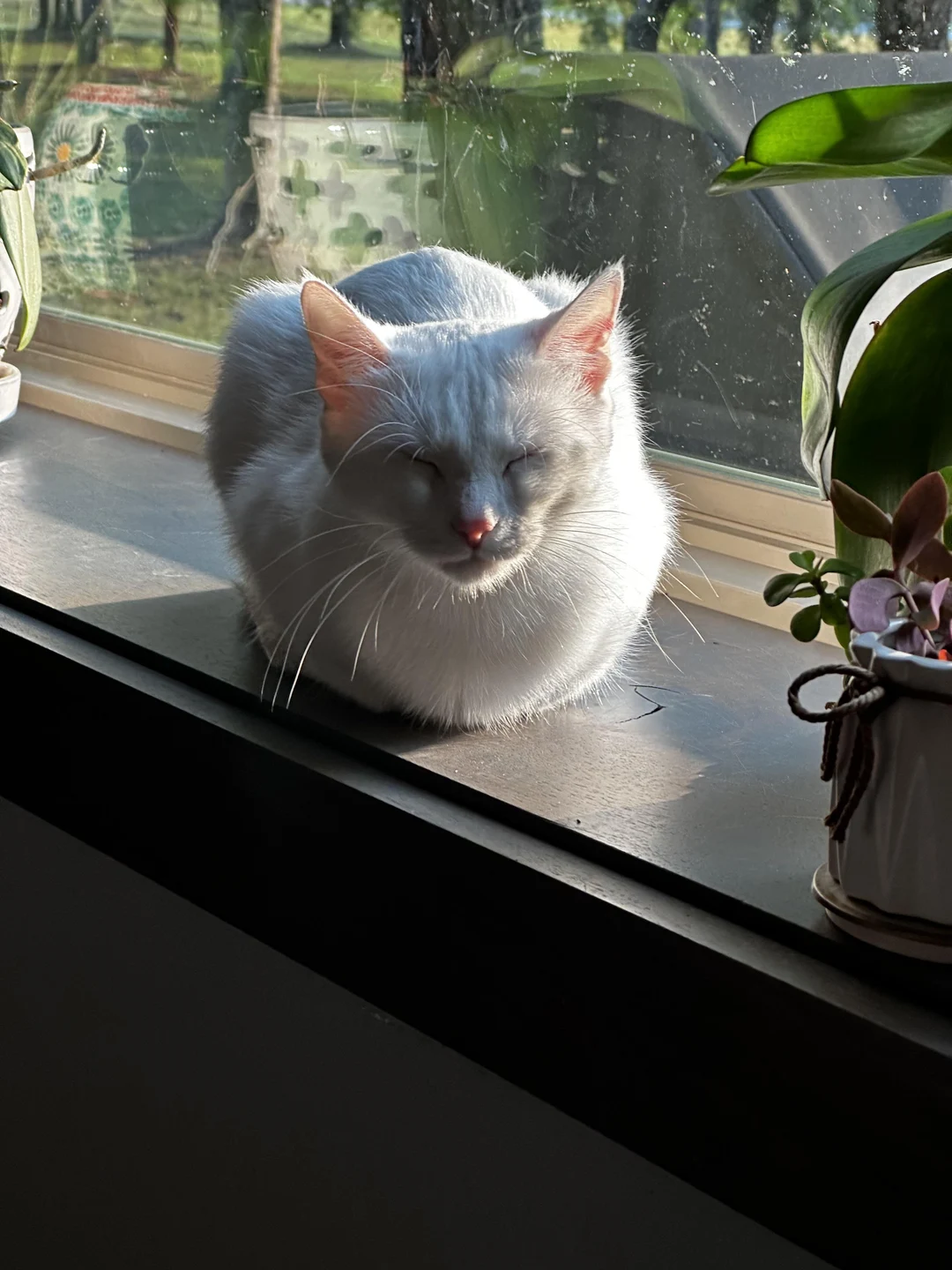 Mathematically perfect loaf | Scrolller