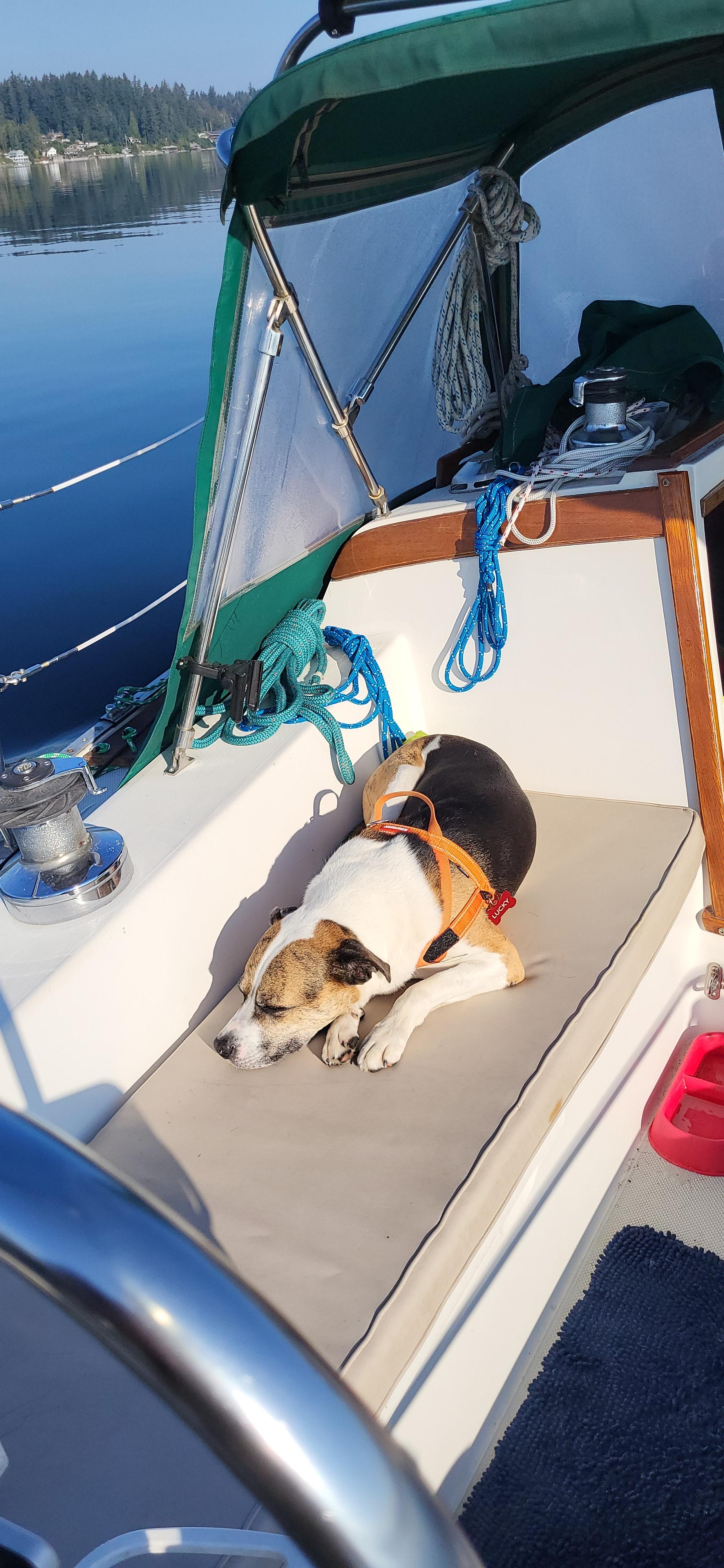 Have a Sundog | Scrolller