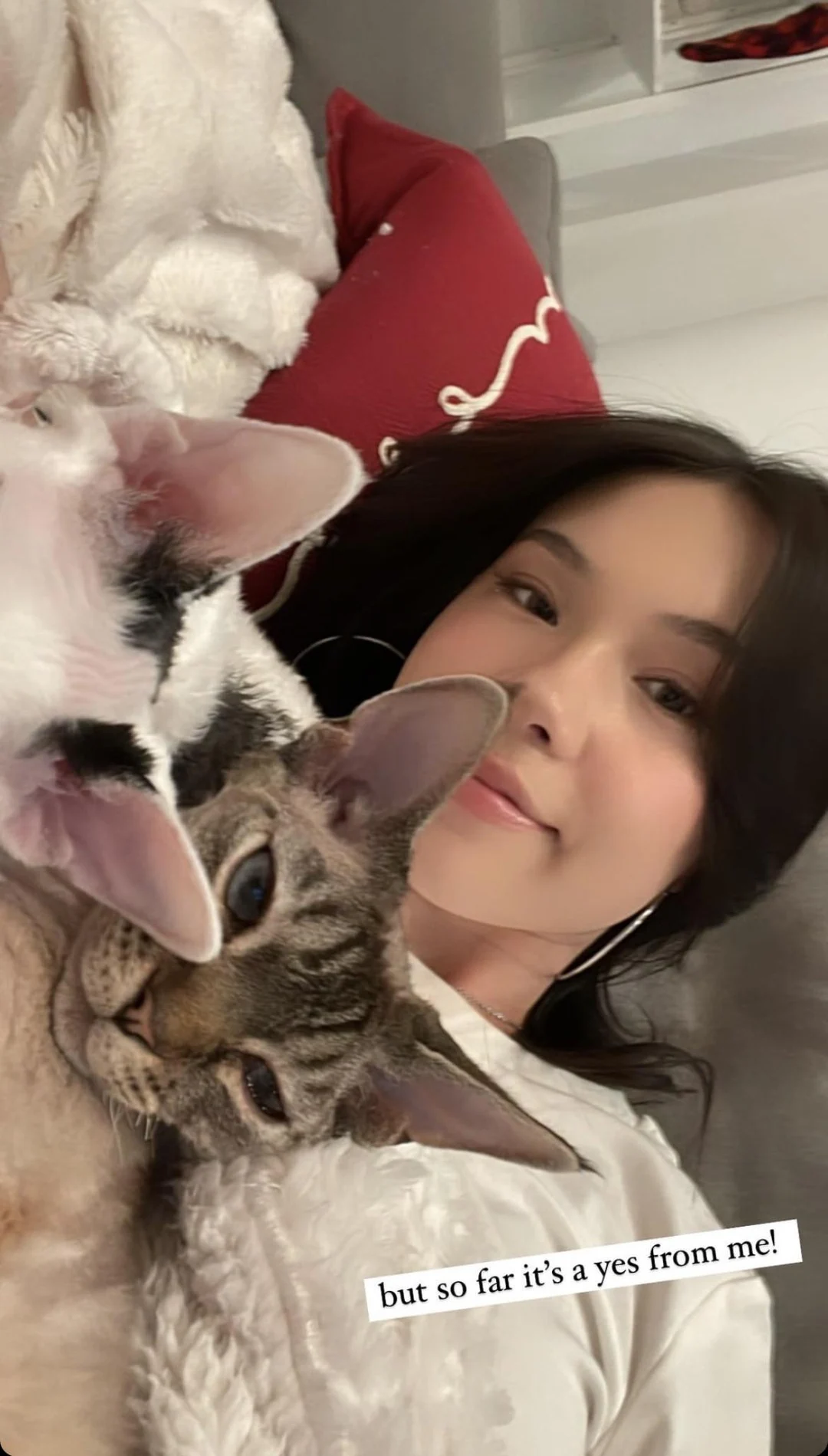 Jodi and her pussies | Scrolller