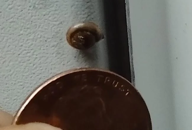 Smallest snail I have ever seen... | Scrolller