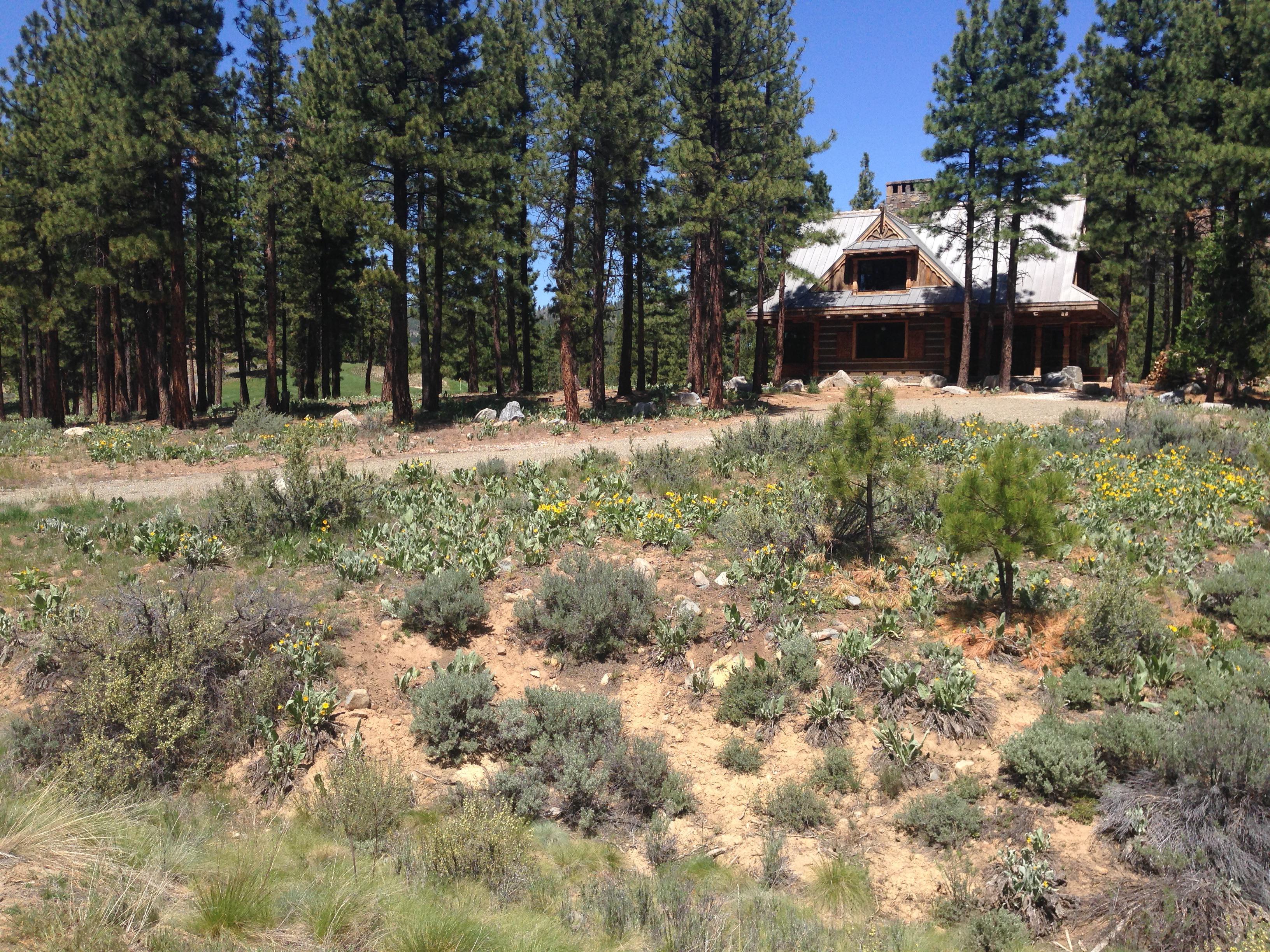 Cabin in the Woods | Scrolller