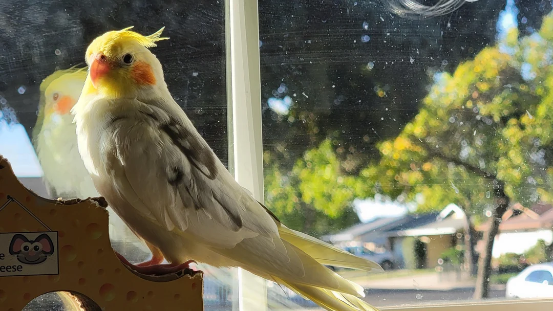 soaking up sun rays | Scrolller