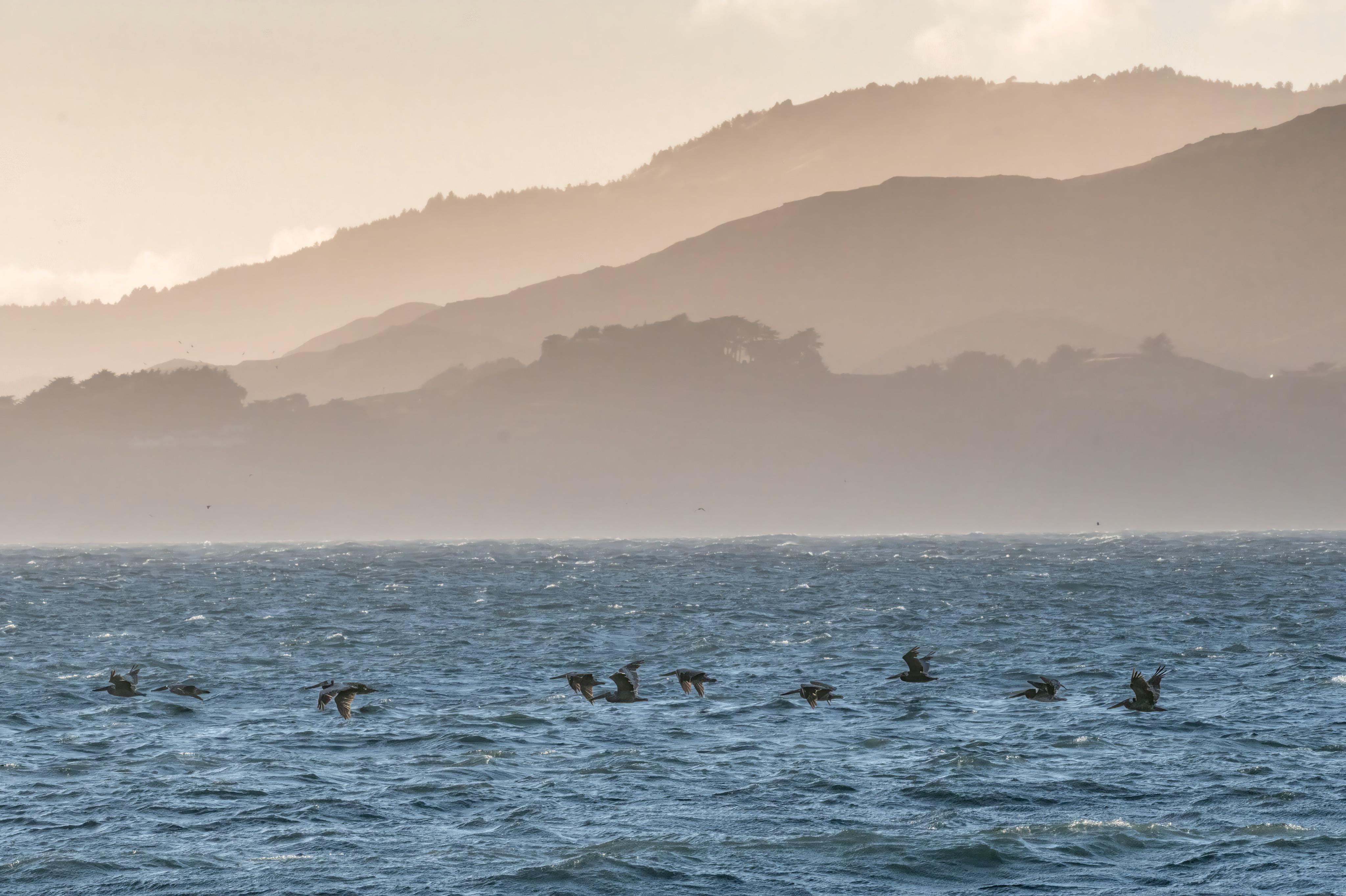 The golden gate on a hazy evening | Scrolller