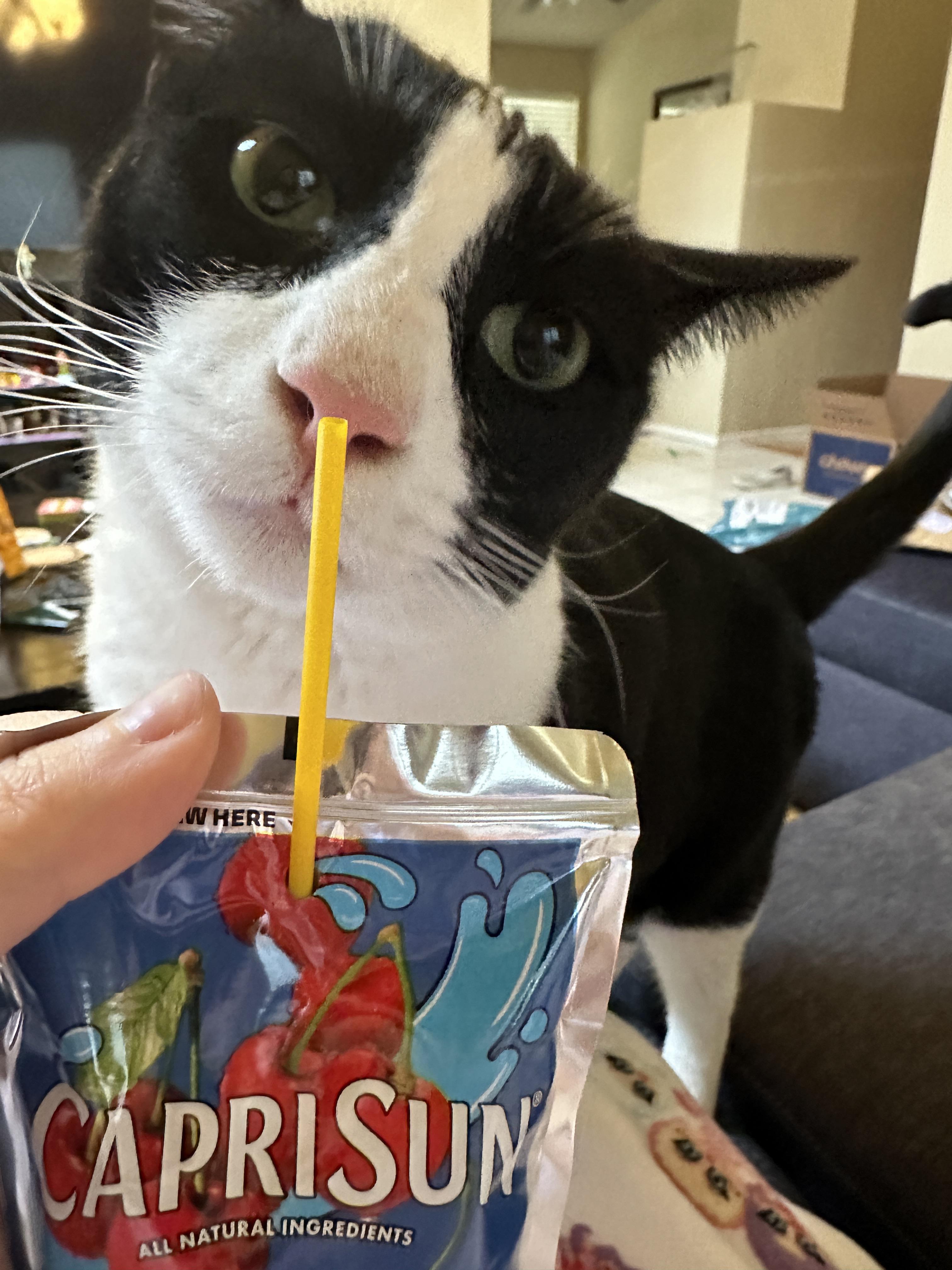 Sniff inspection complete | Scrolller