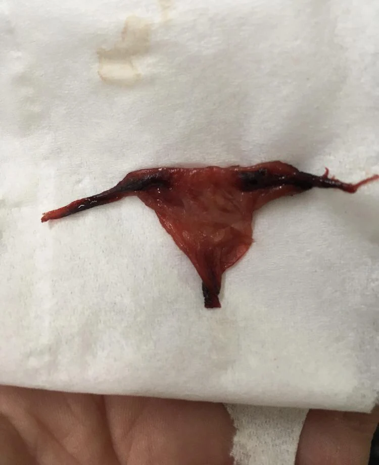 Please, just dont | Scrolller