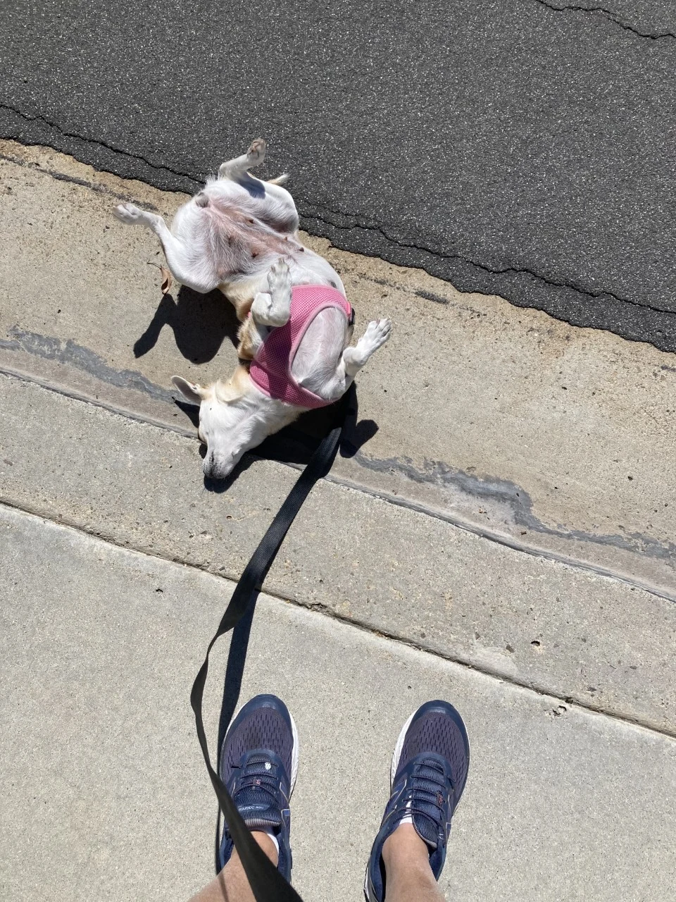 Physically she's fine | Scrolller