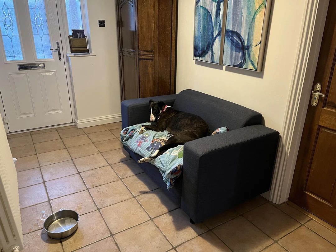 Today was a good day. My very own sofa. | Scrolller