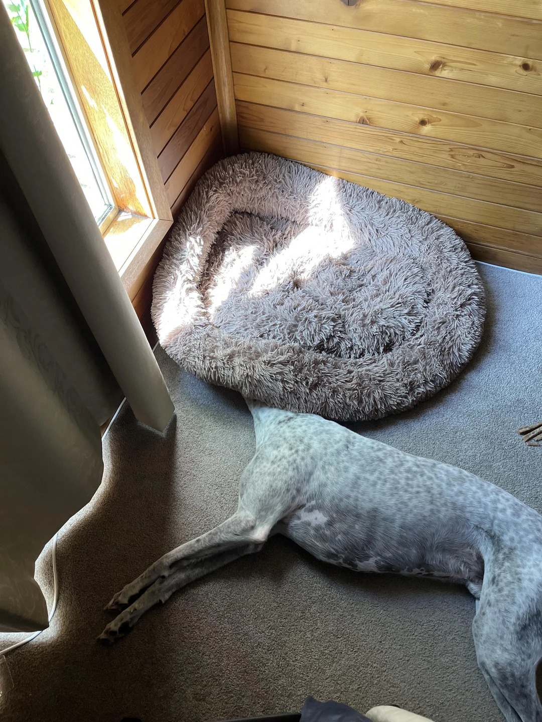 Having some existential crisis | Scrolller