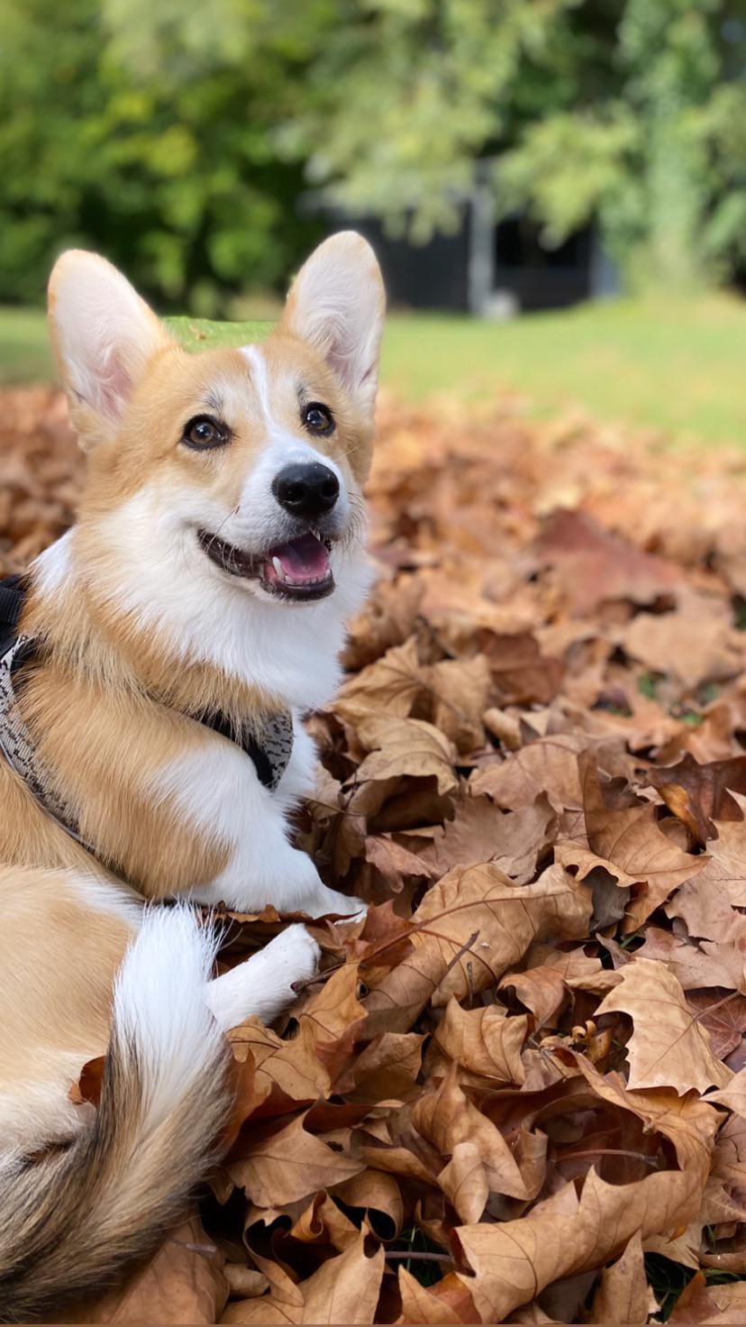 Matching colors | Scrolller