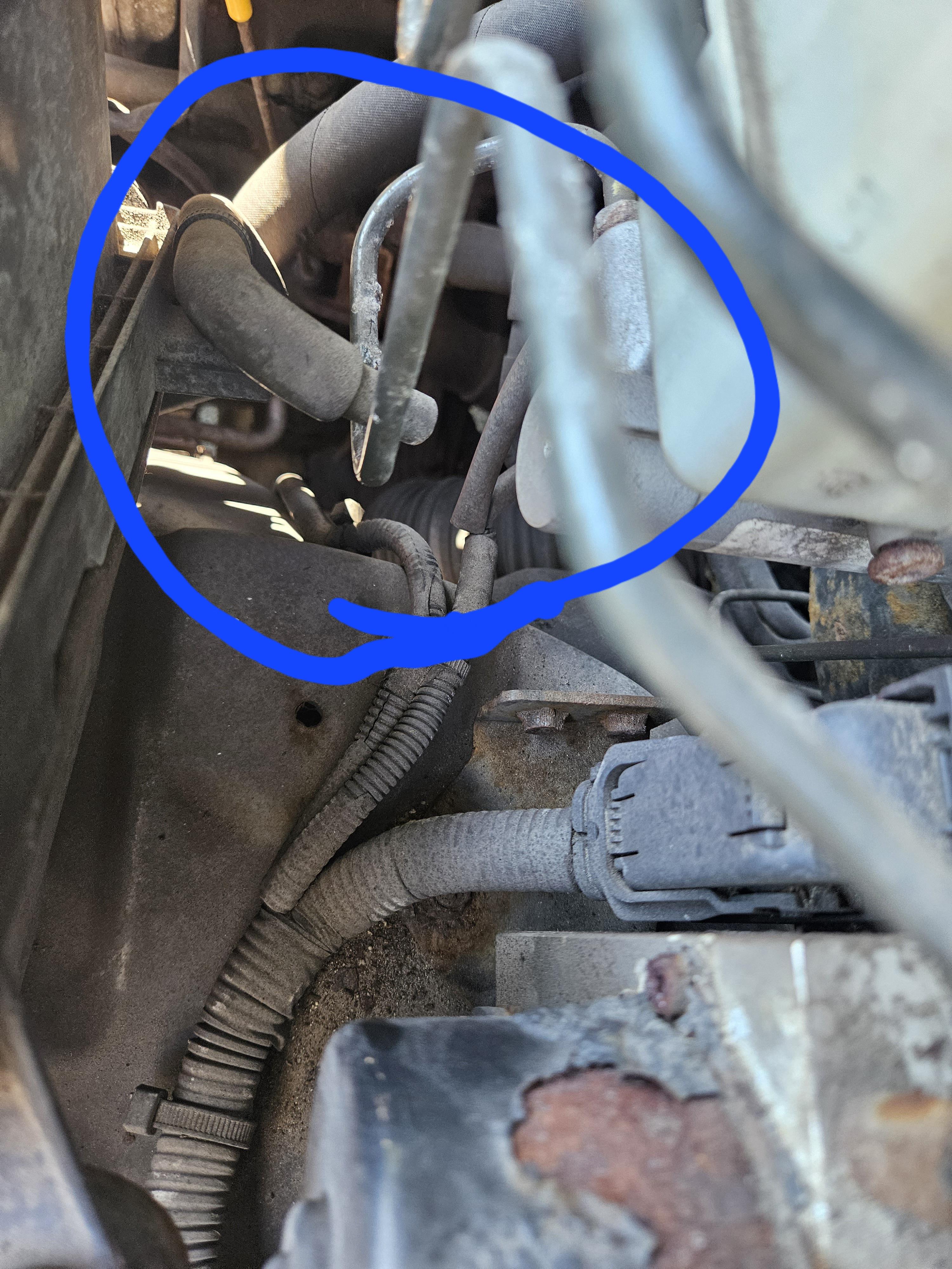 Unknown hose | Scrolller