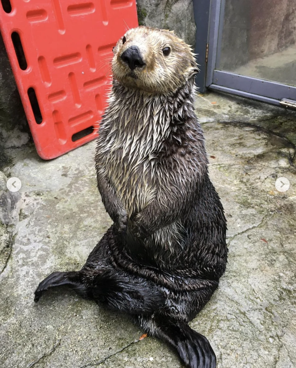 Clams, please. | Scrolller