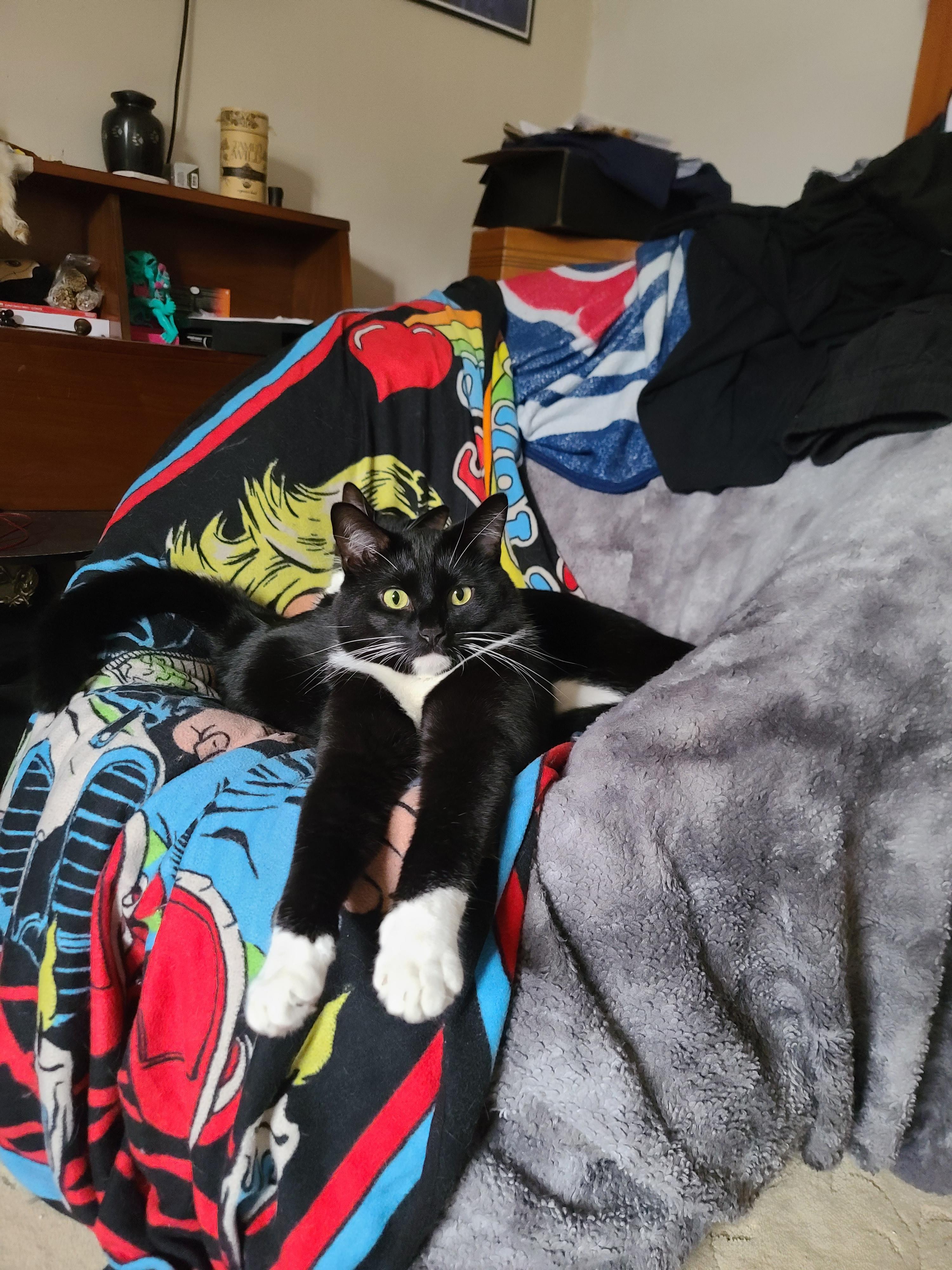 Just chilling | Scrolller