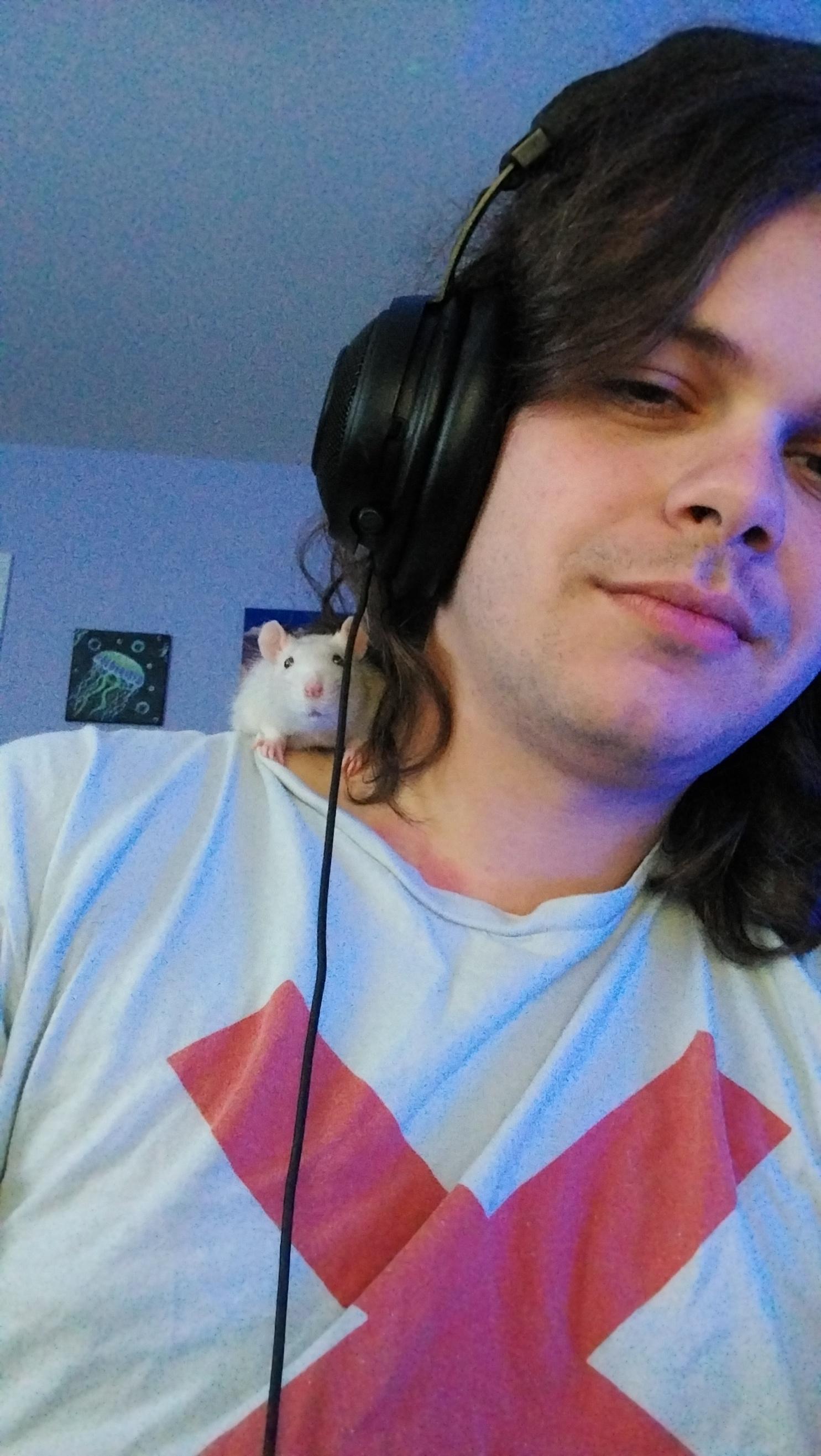 Bean says hello! | Scrolller