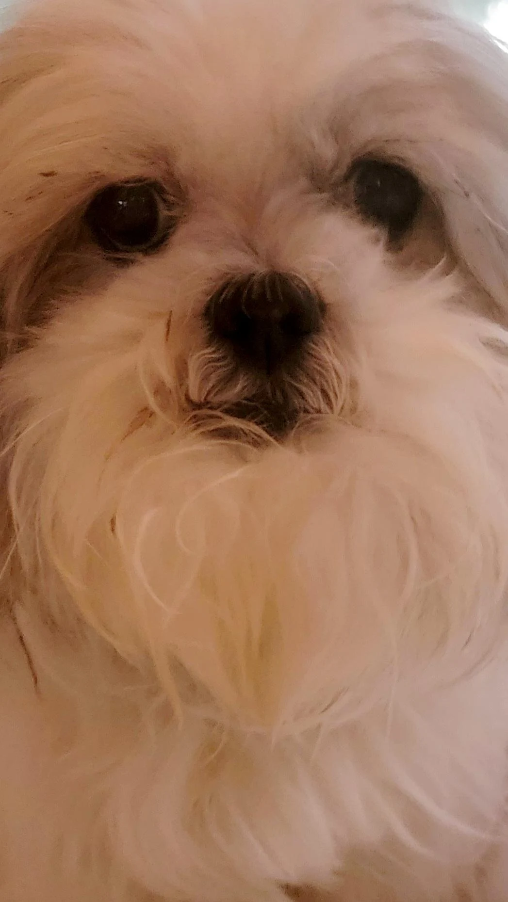 Just because | Scrolller