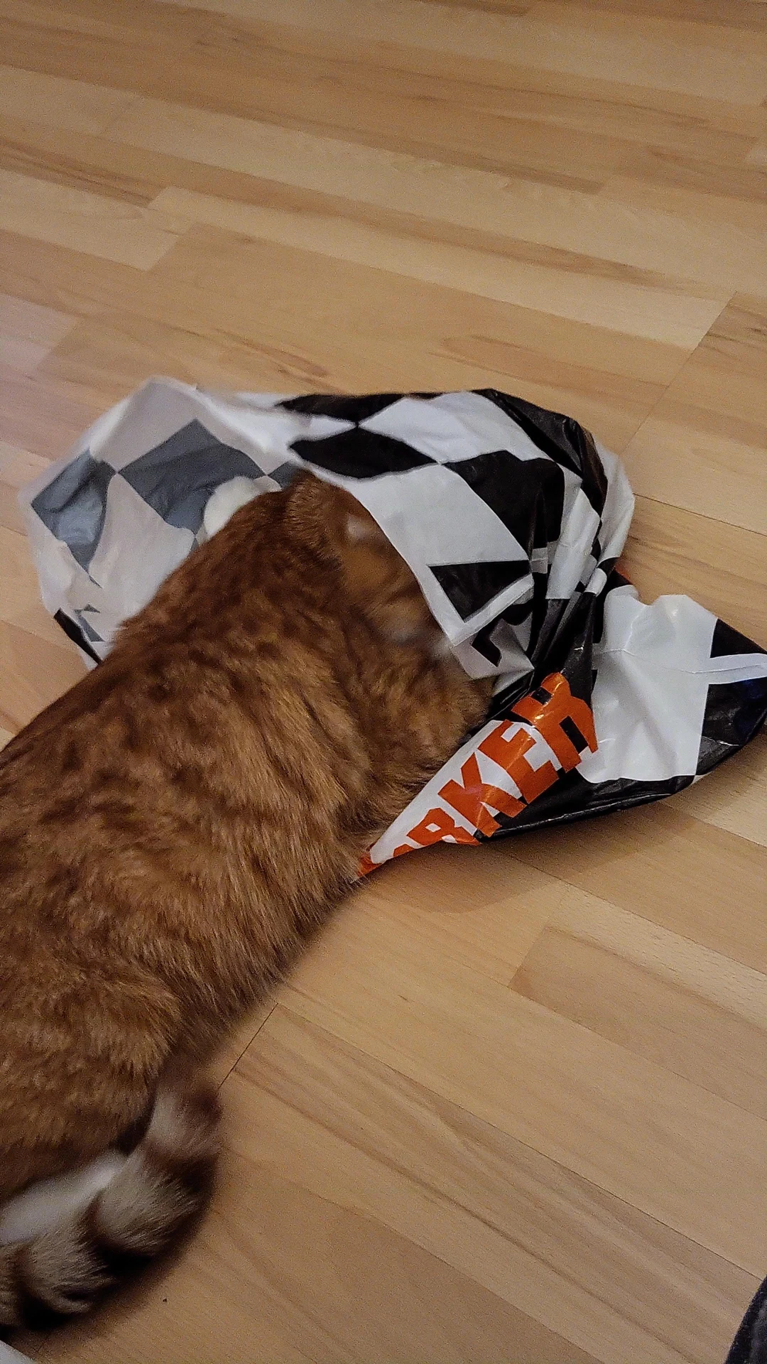 Failed loaf | Scrolller