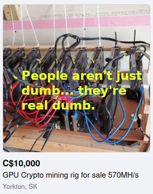 The next gen is even dumber than the last gen. | Scrolller