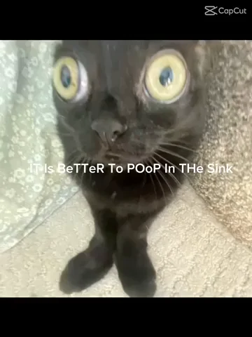 A wise man once said: | Scrolller