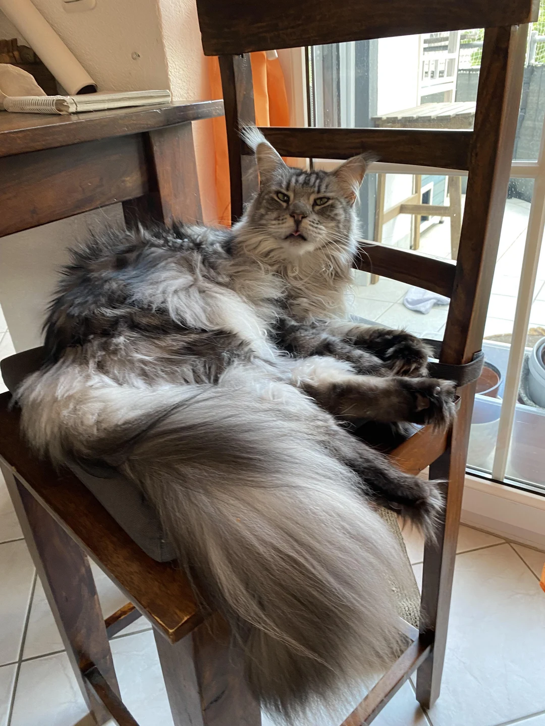 Lias looks exactly how I feel after I took a nap | Scrolller